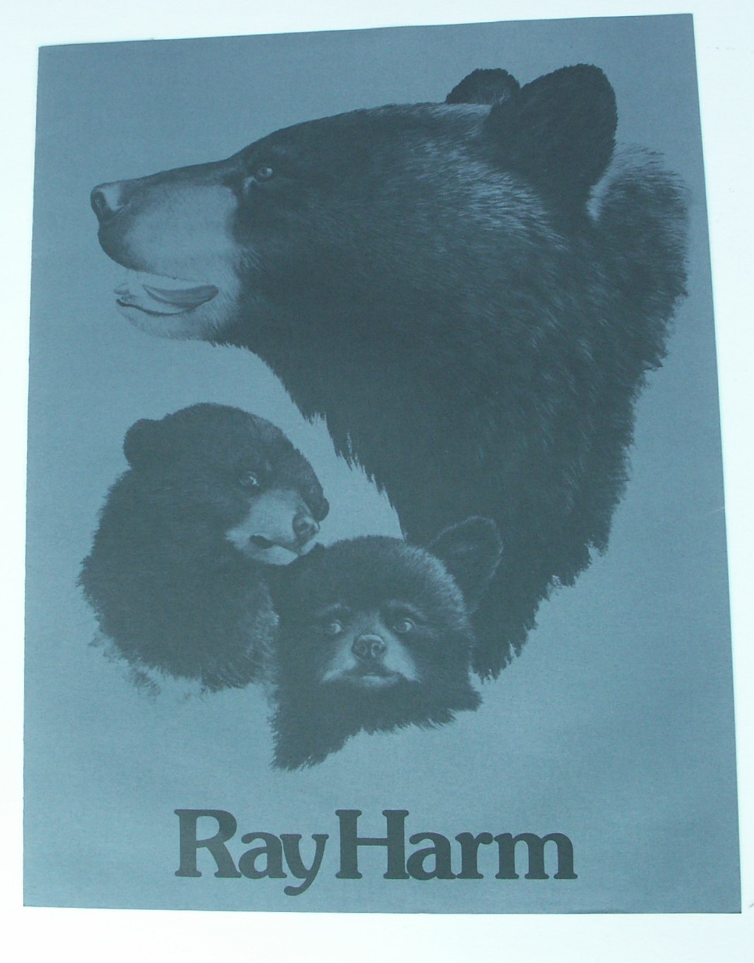 Ray Harm "Black Bear" Print | EBTH