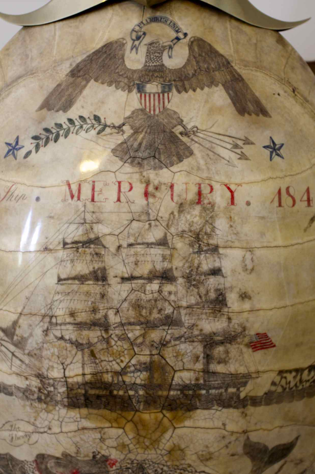 Important 1841 Scrimshaw Tortoise Shell | EBTH