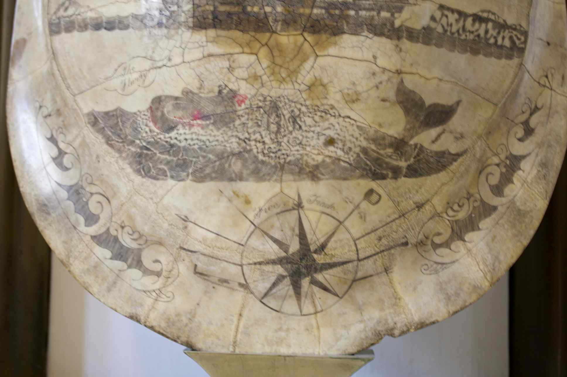 Important 1841 Scrimshaw Tortoise Shell | EBTH