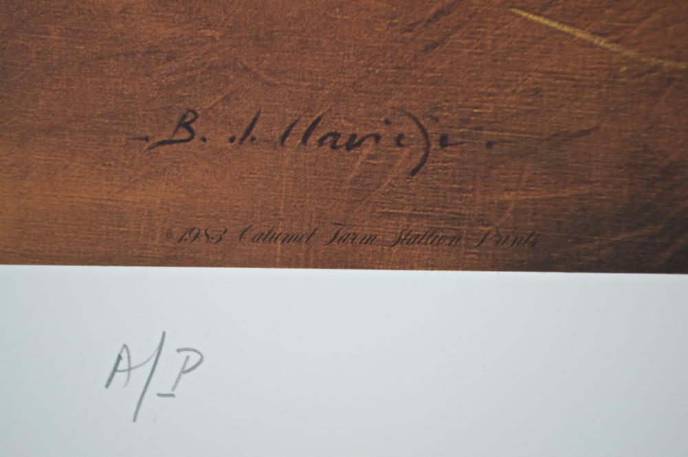 "Alydar" Print | EBTH