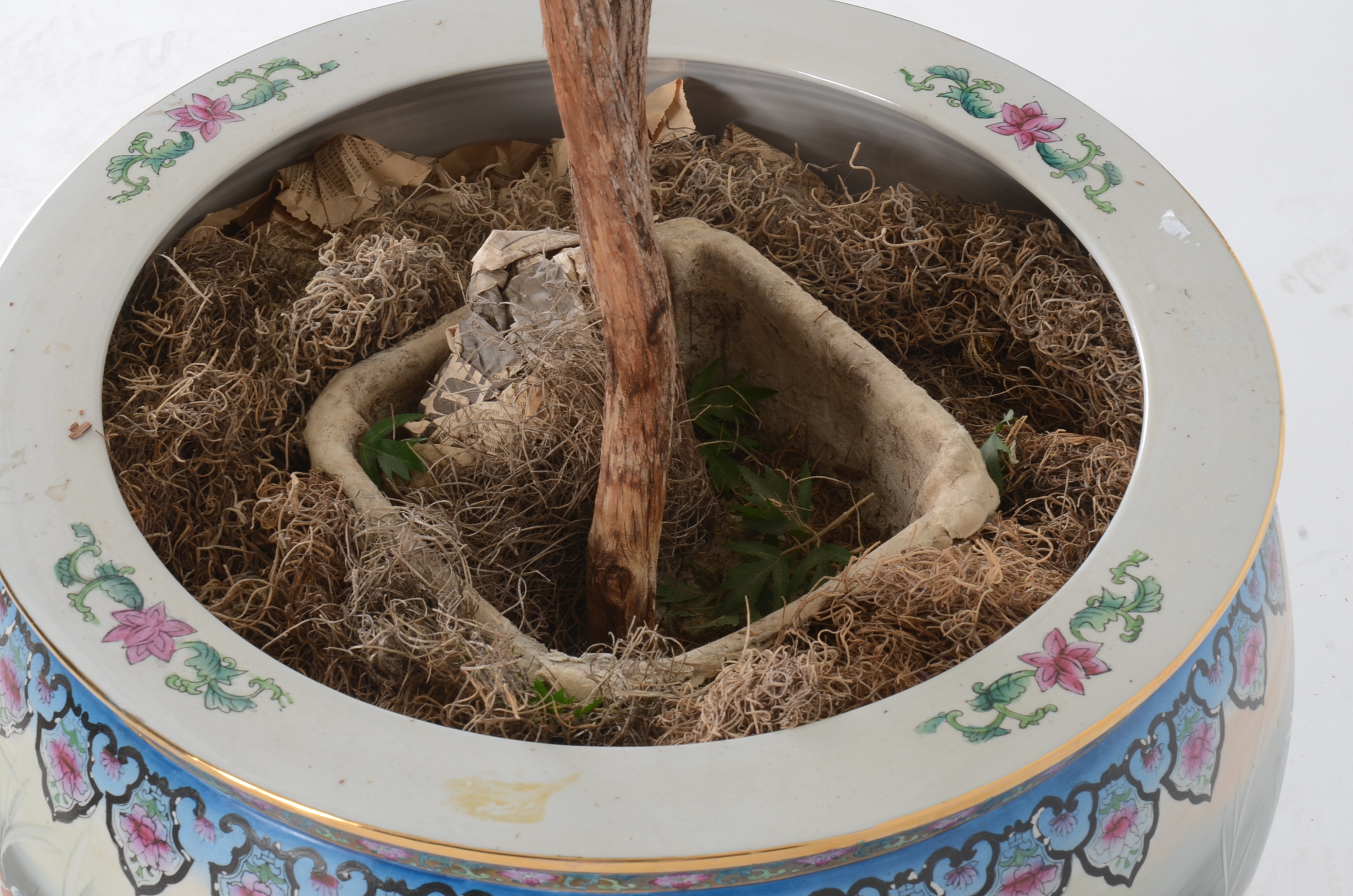Ming Arabia Faux Trees in Chinese Fish Bowl Planters | EBTH