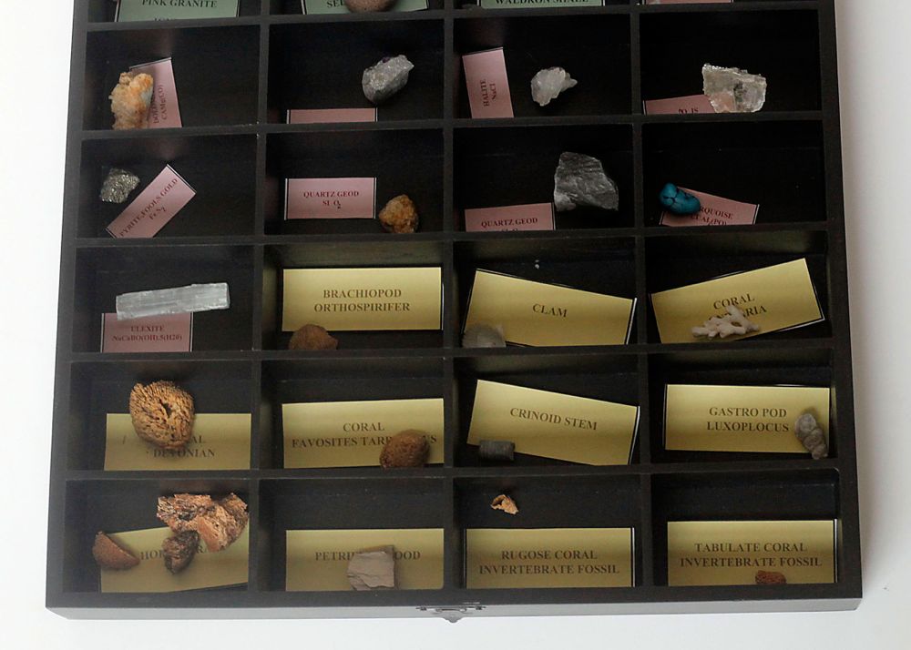 Rock and Fossil Collection | EBTH