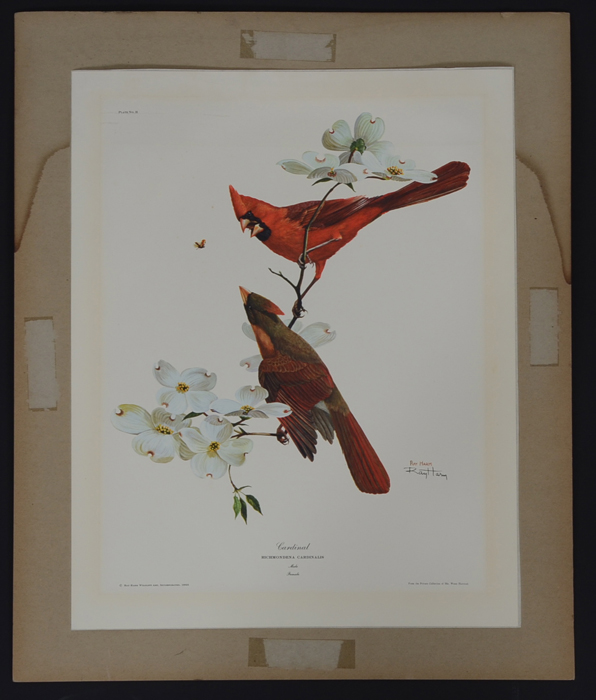 Photo Offset Lithograph Ray Harm "Cardinal" | EBTH