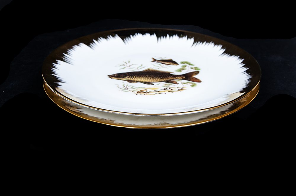 Bavarian Porcelain Fish Plates | EBTH