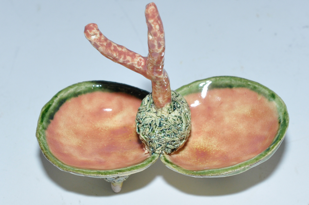 Small Coral and Shell Open Salt Collector | EBTH