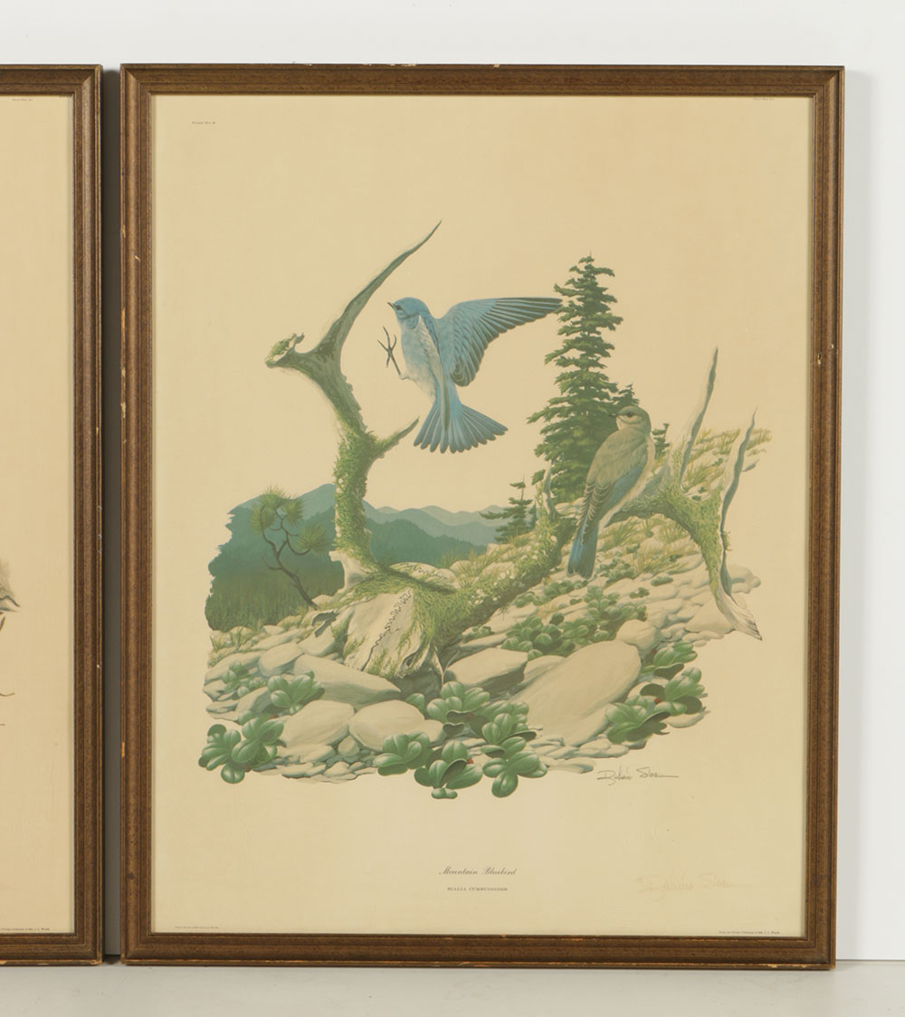 Pair of Richard Sloan Offset Lithograph of Birds | EBTH