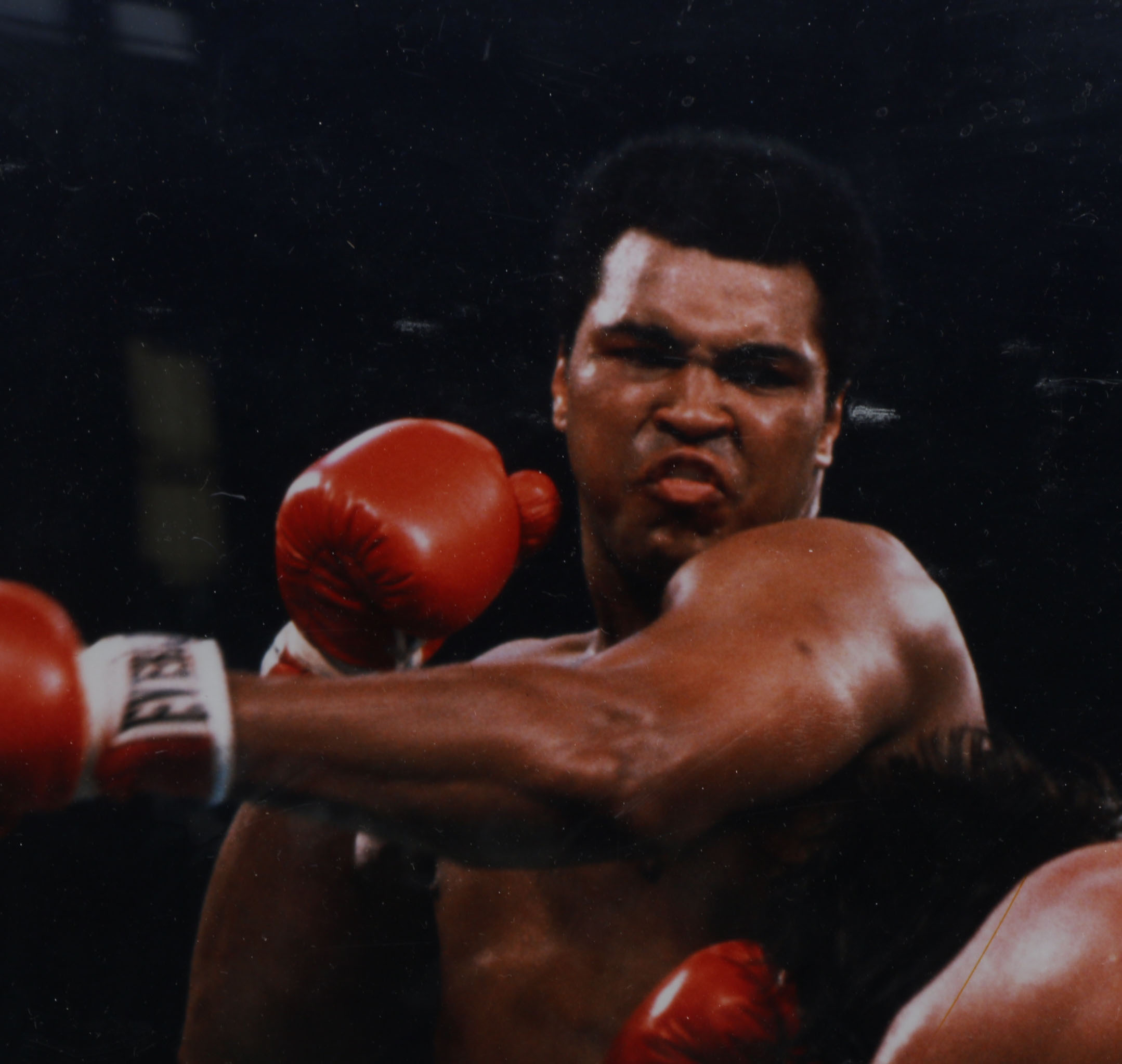 Muhammad Ali Signed Poster | EBTH