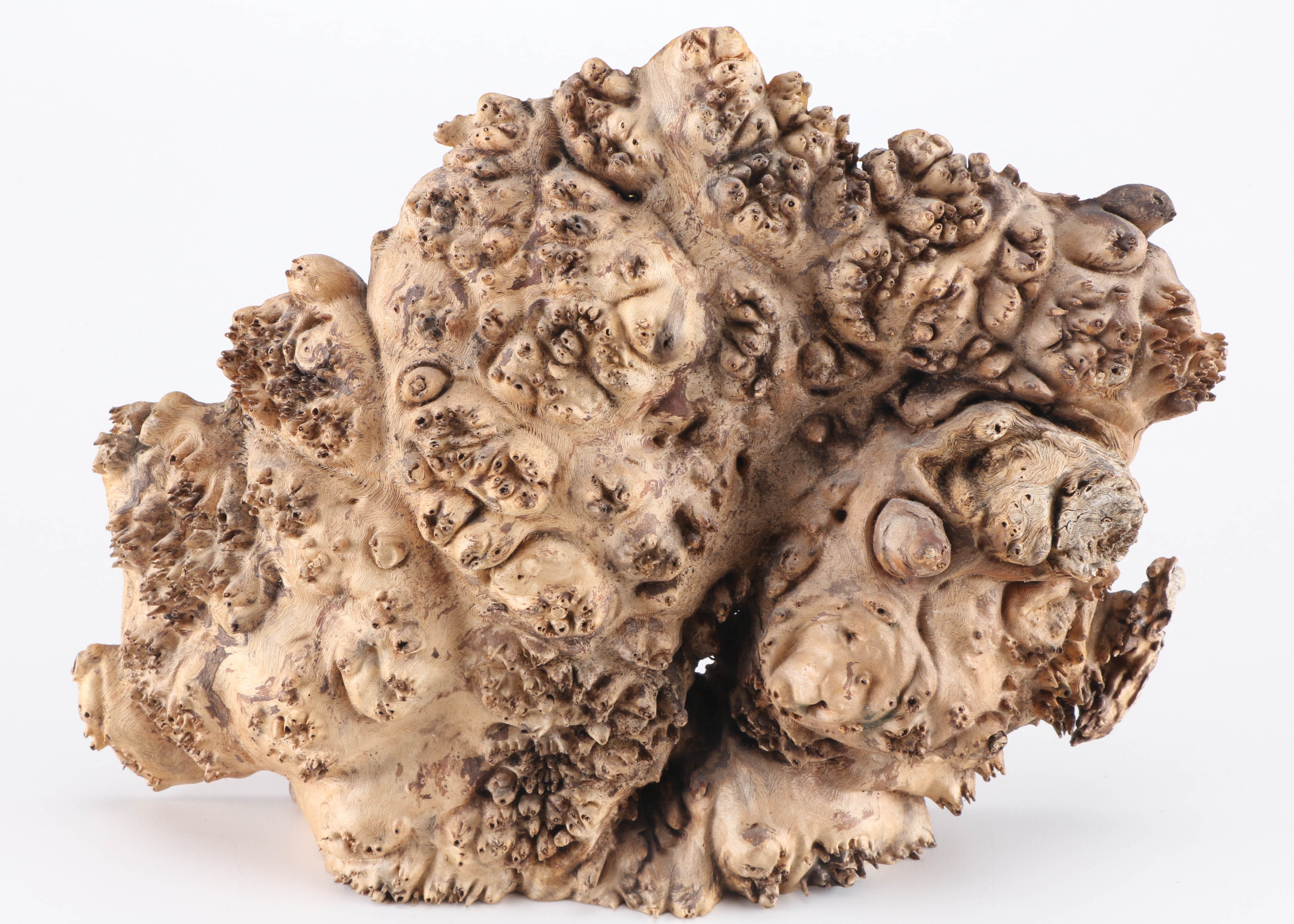 Peter Gerstel Signed Maple Burl Wood Sculpture | EBTH