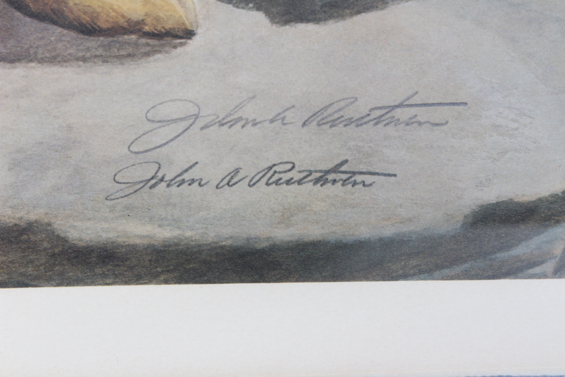 John Ruthven Limited Edition Print "Miami Indian" | Everything But The ...