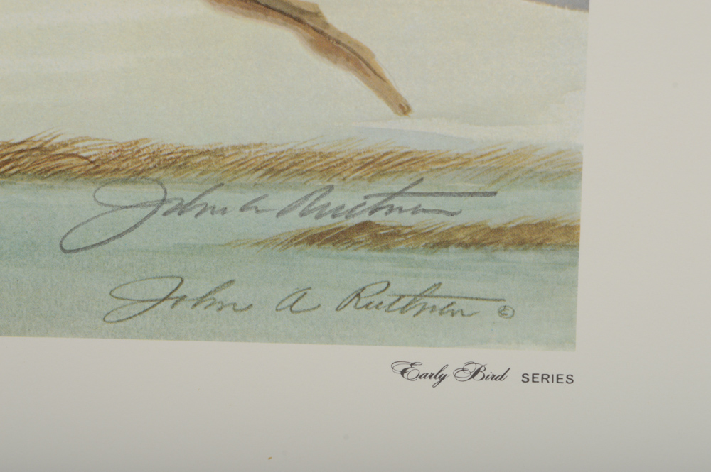 Signed John Ruthven Offset Lithograph "Bald Eagle" | EBTH