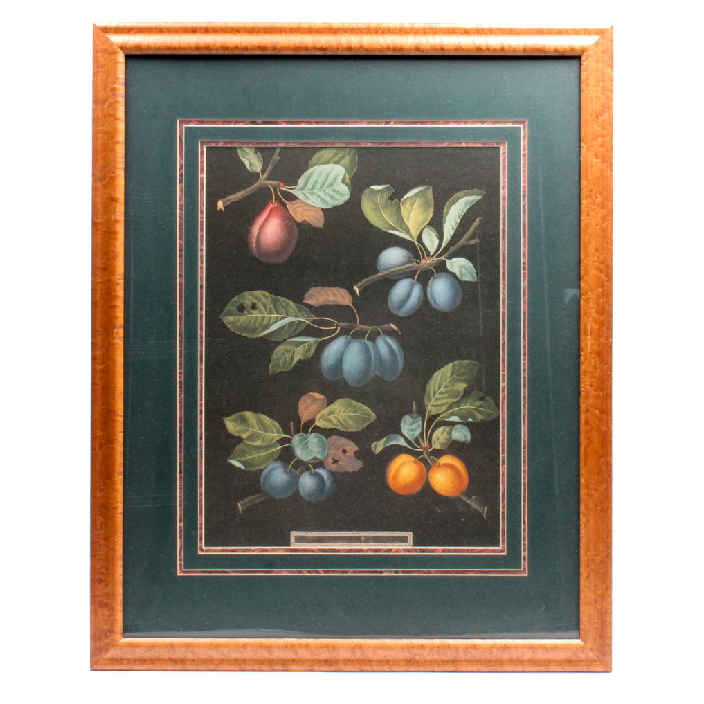 Botanical Offset Lithograph Print | EBTH