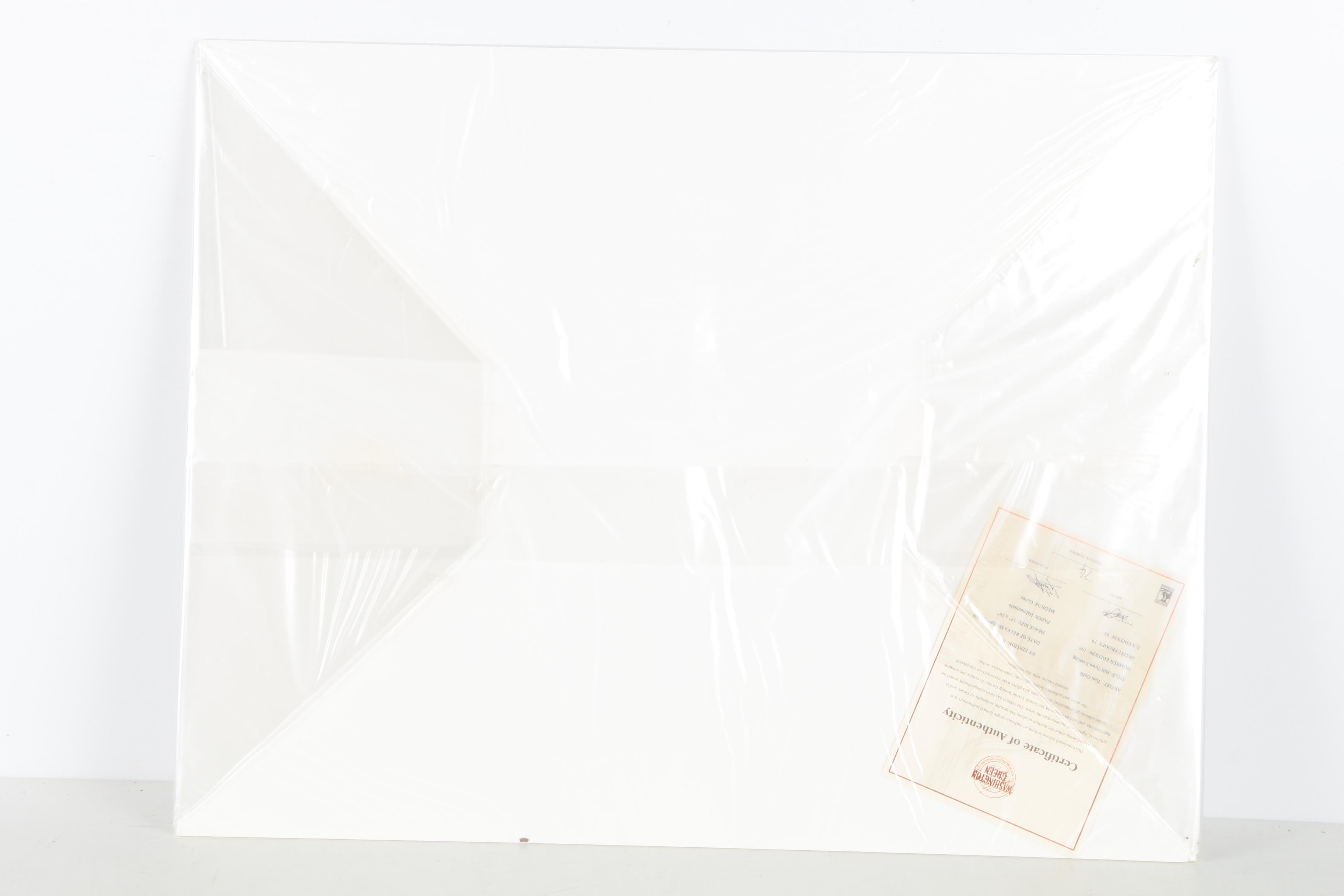 Limited Edition Giclee on Paper by Toni Goffe "Hill Town Evening" | EBTH