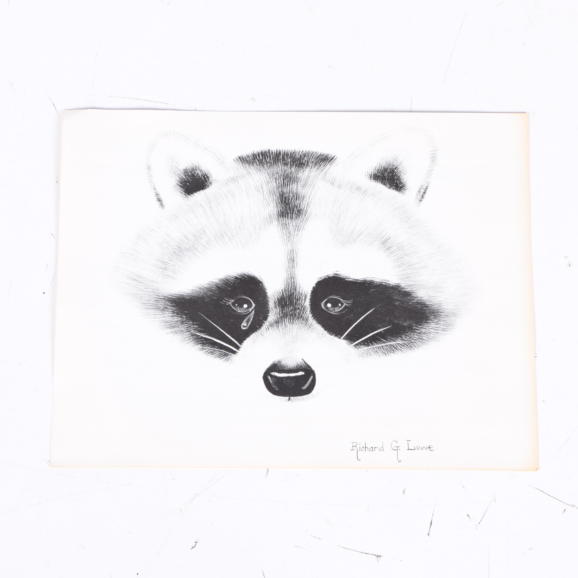 Offset Lithographs After Richard G. Lowe's Drawings of A Raccoon and ...