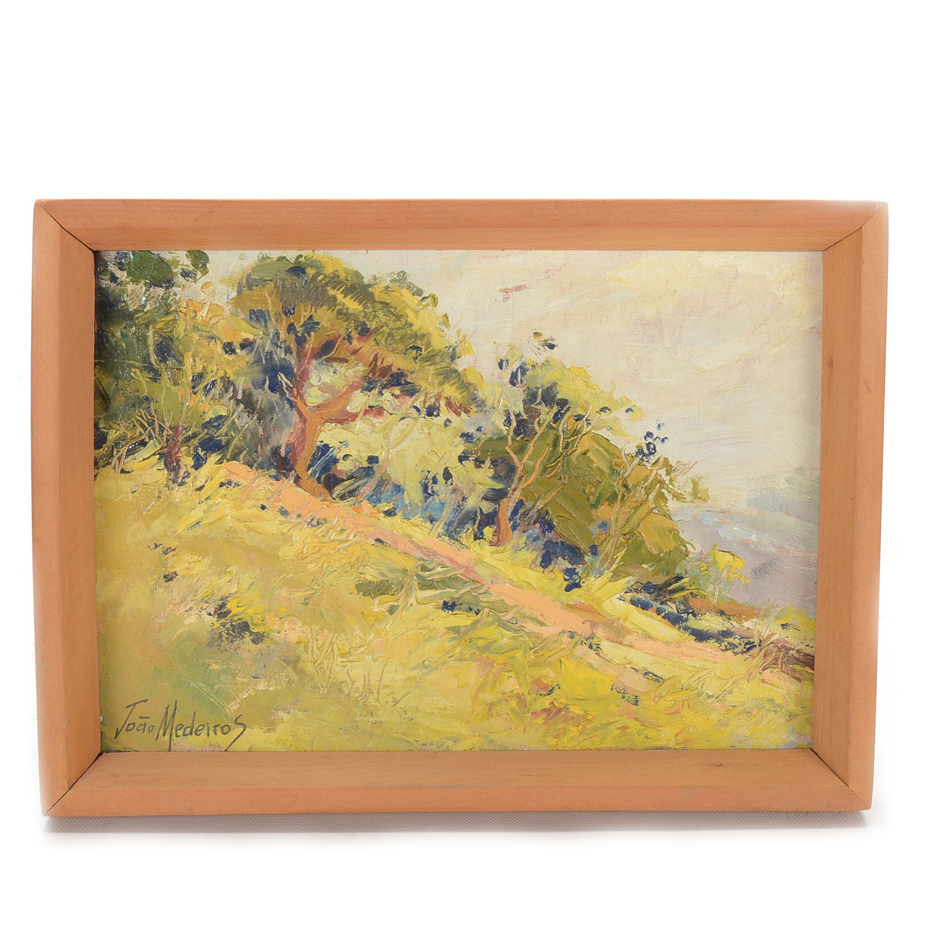 Joao Medeiros Oil Painting on Board of a Landscape | EBTH