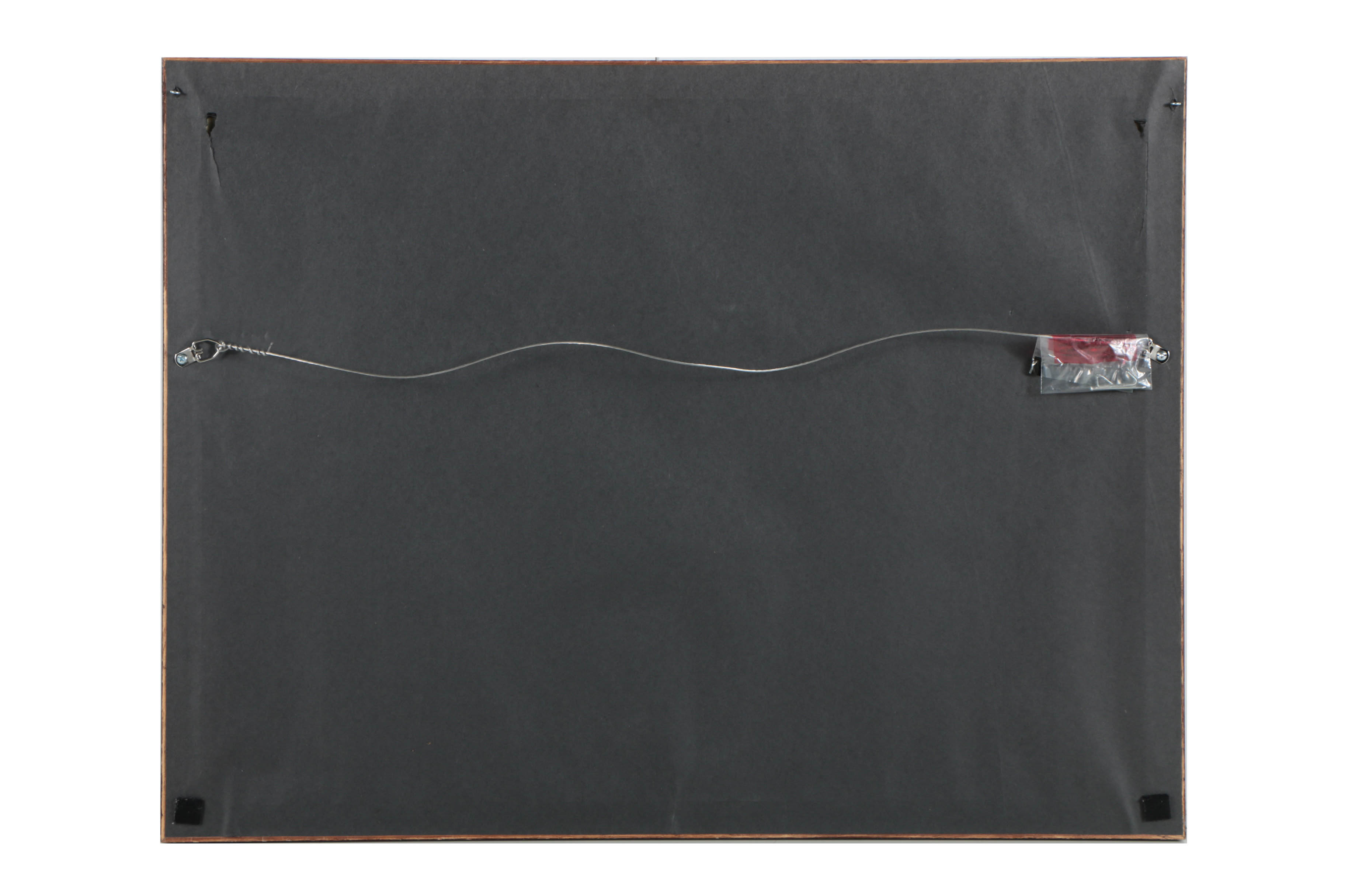 Ed Behrens Digital Photograph of the Egyptian Pyramids | EBTH