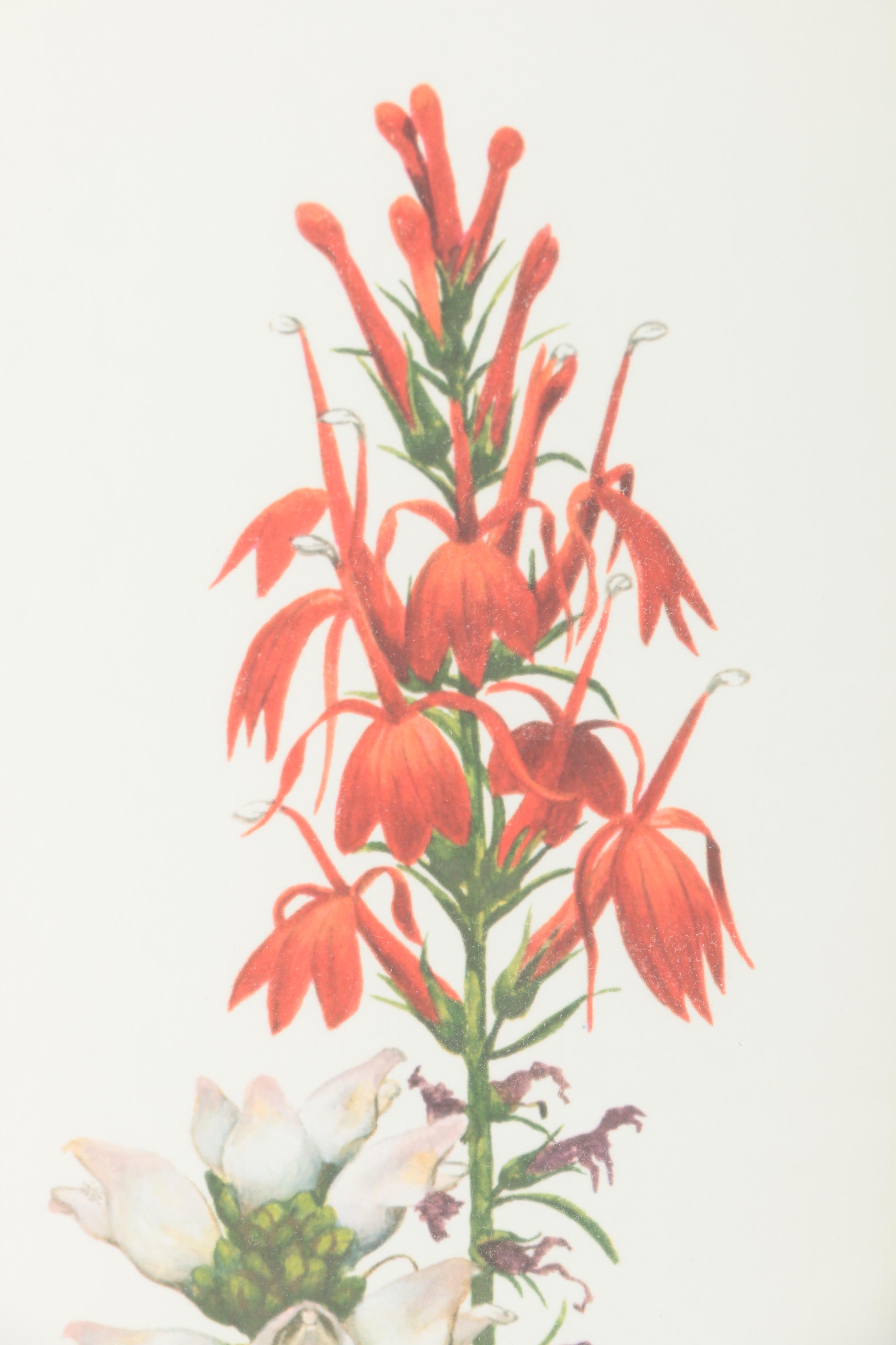 Offset Lithographs After Ray Harm "Late Summer and Fall Wildflowers" | EBTH