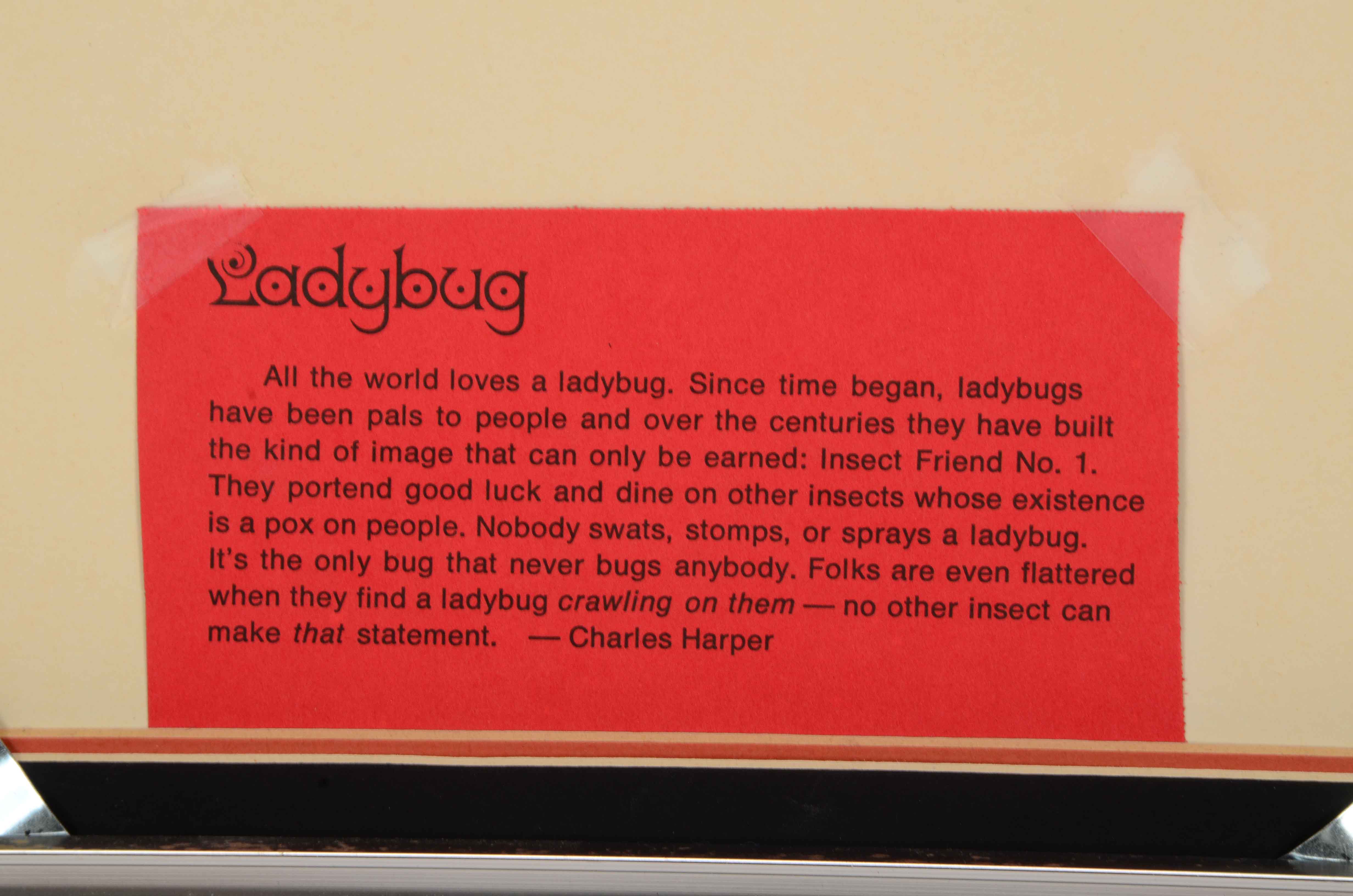 Charley Harper Signed Lithograph "Ladybug" | EBTH