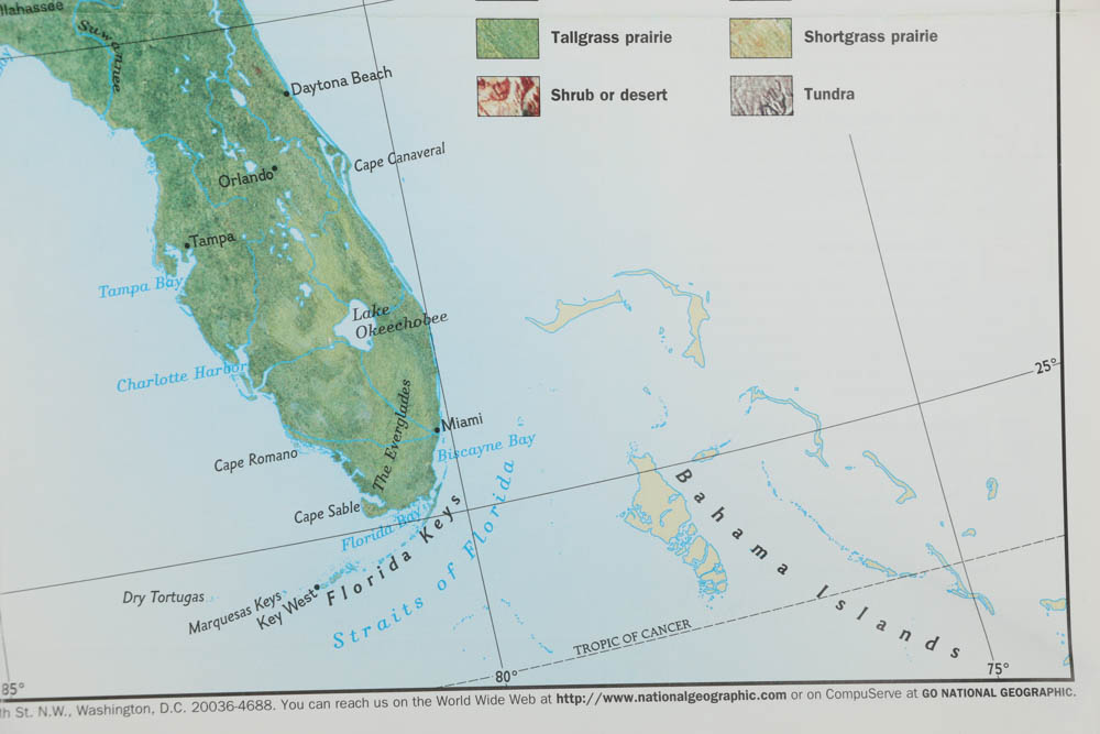 Collestion of National Geographic Print Maps | EBTH