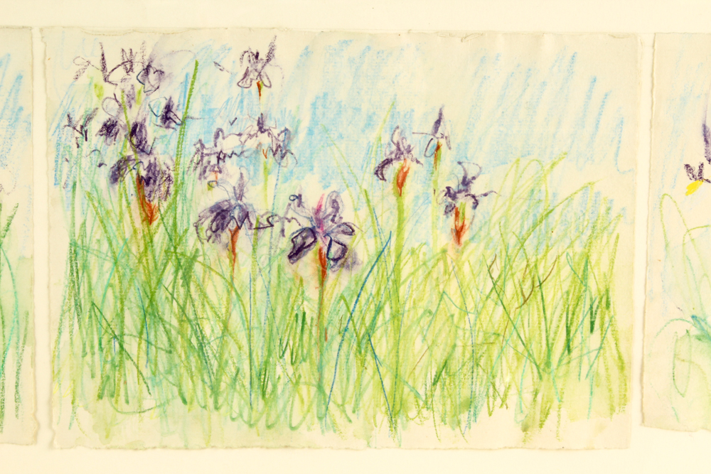 John Tuska Color Drawing on Paper Quadriptych | EBTH