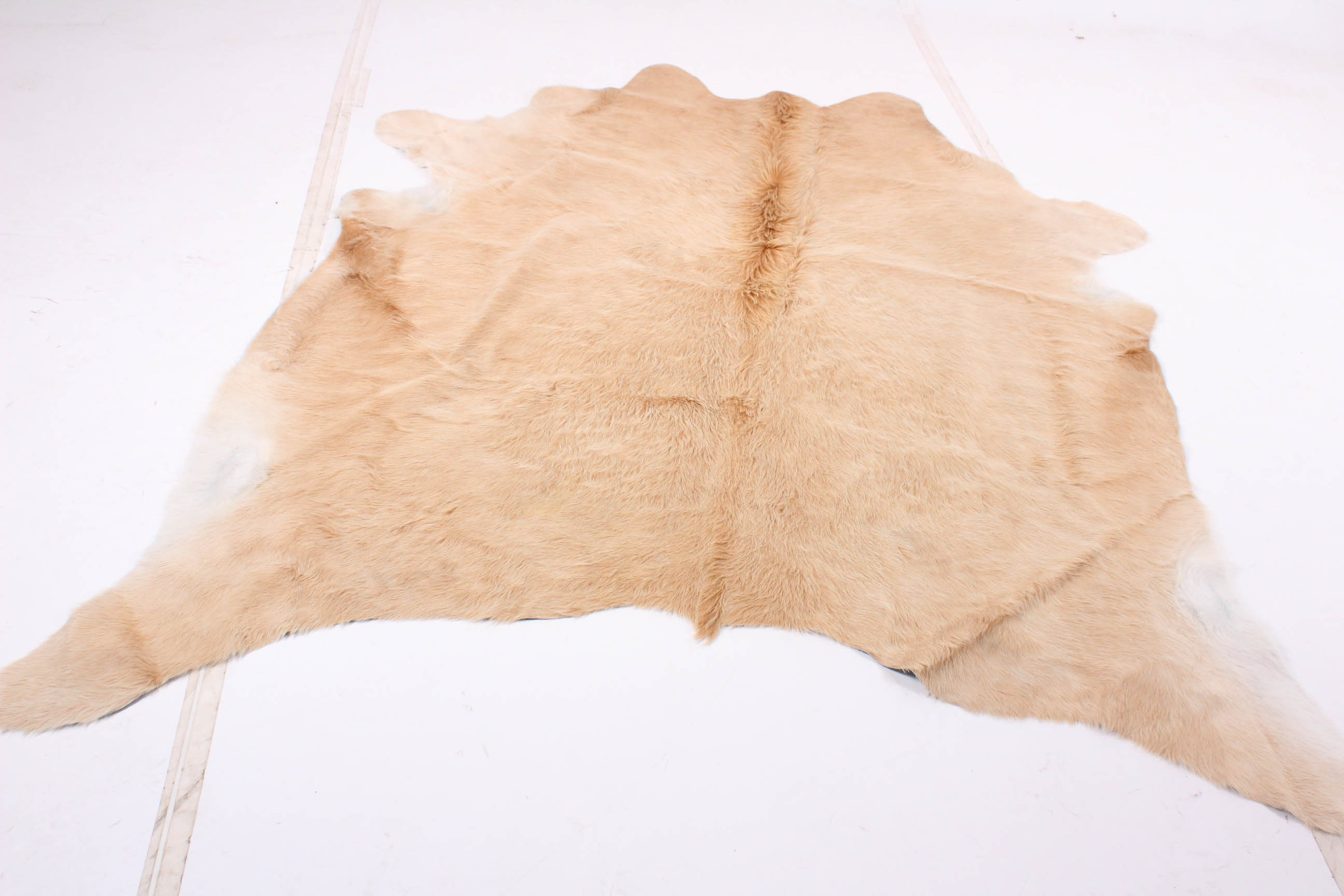 Steer Hide Rug | EBTH