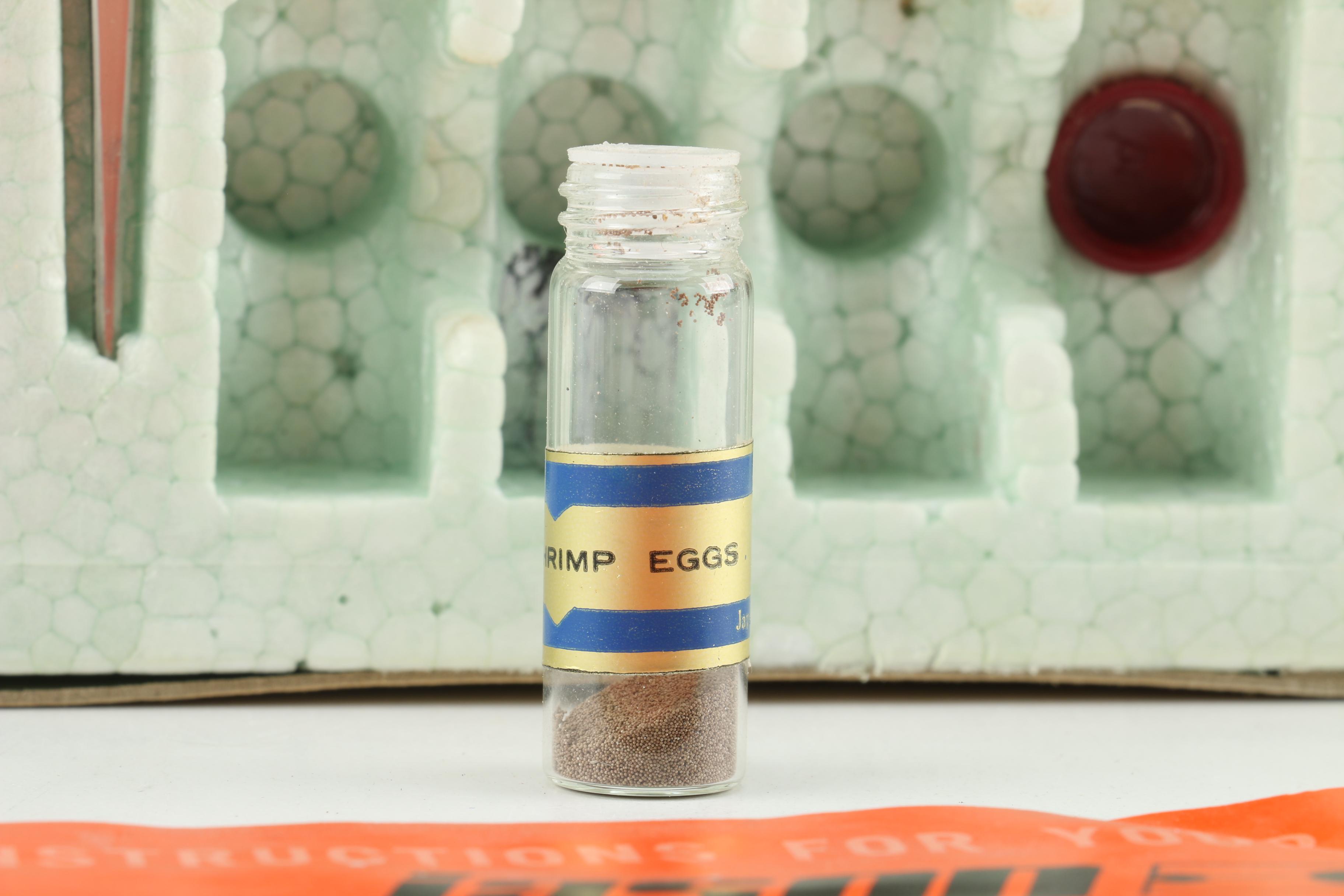 Jason Empire 600 Power Microscope, Model 715 | EBTH