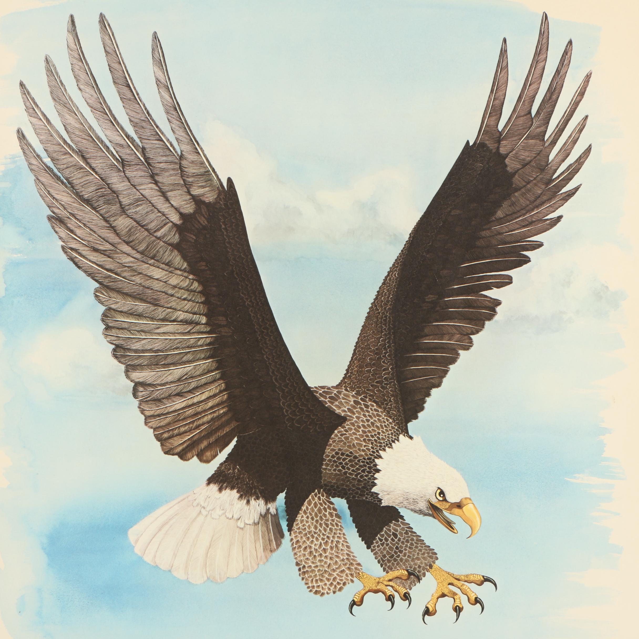 Gene Gray Limited Edition Offset Lithographs of Birds of Prey | EBTH