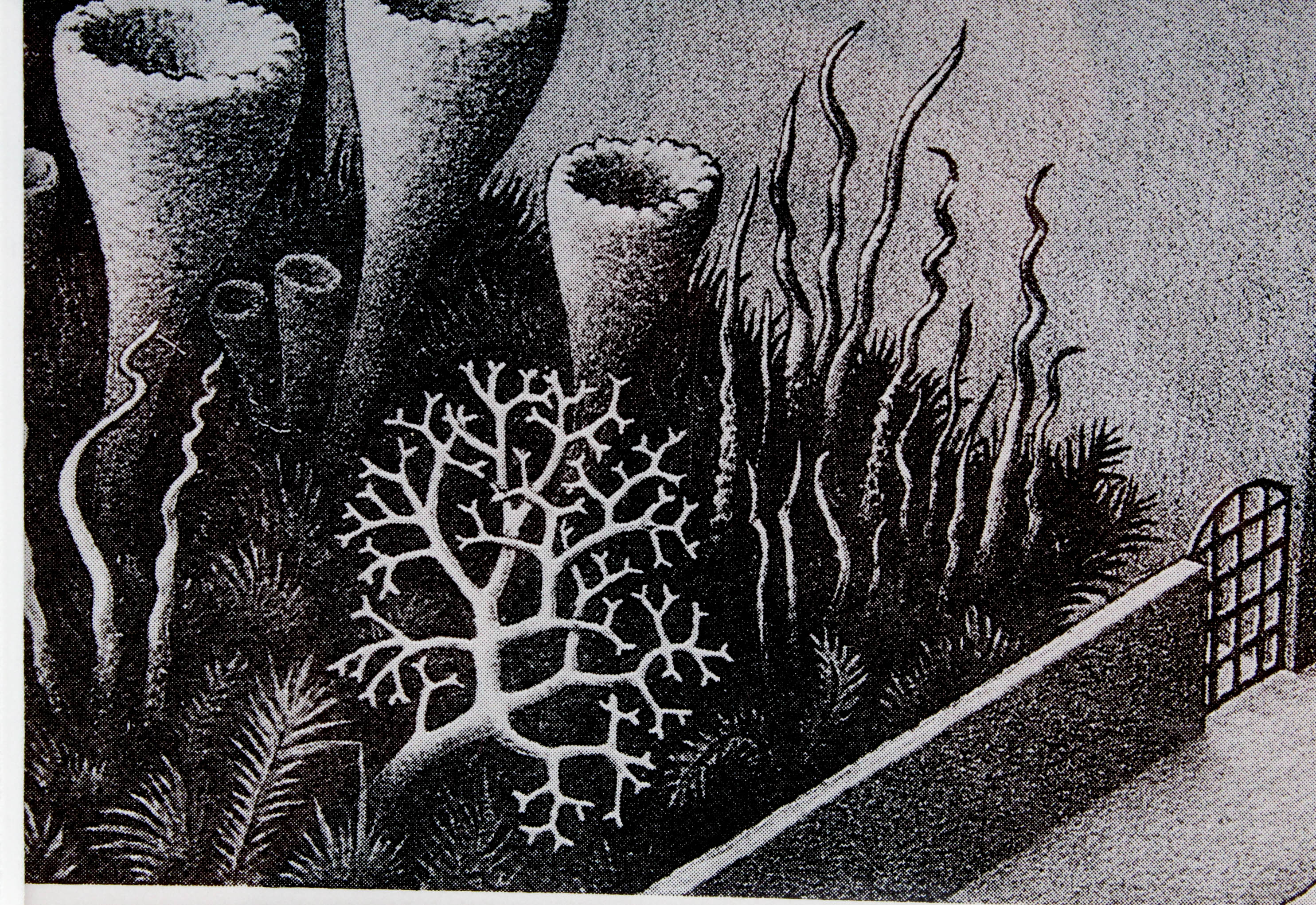 M.C. Escher Offset Lithograph Print on Paper After "Waterfall" | EBTH