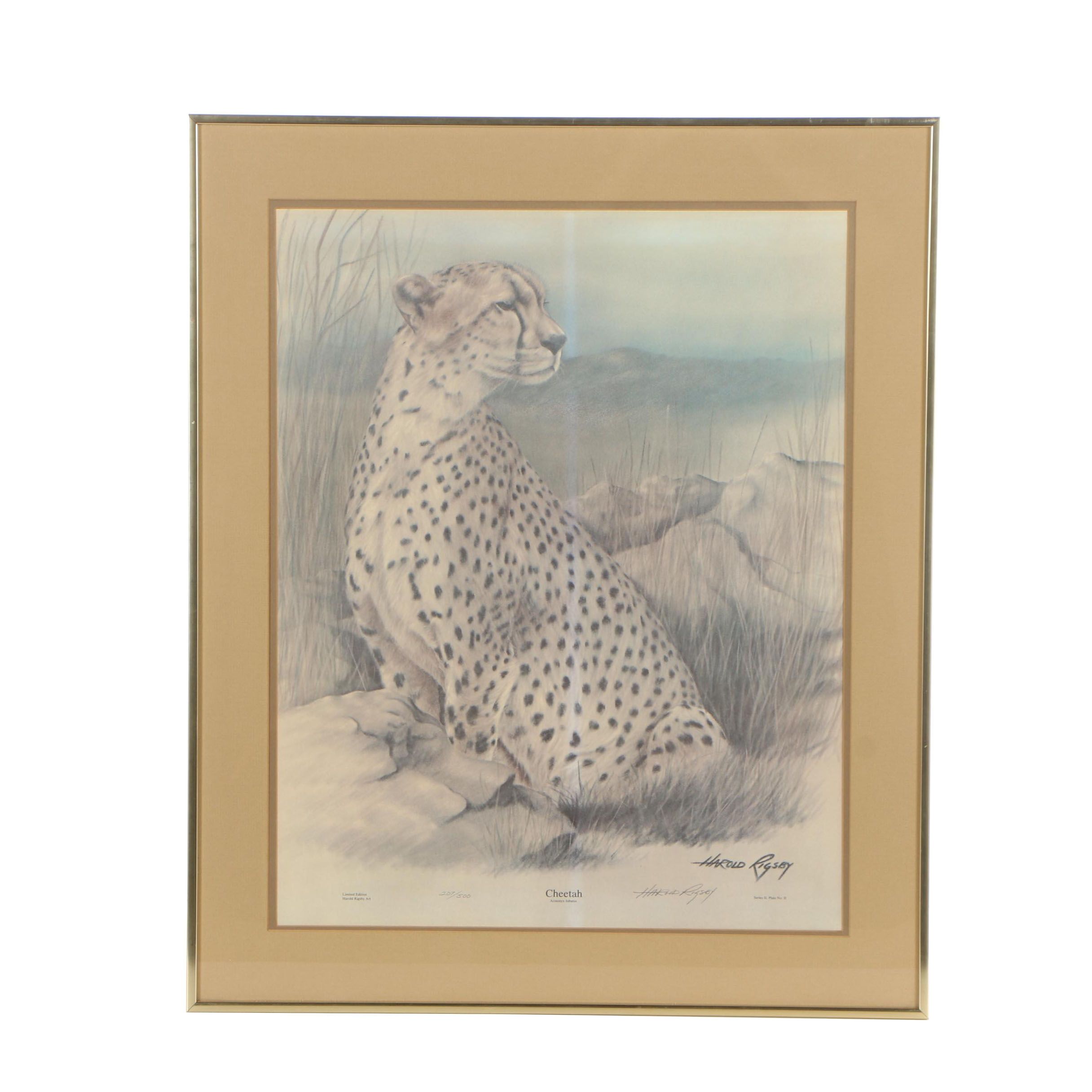 Harold Rigsby Offset Lithograph "Cheetah" | Everything But The House