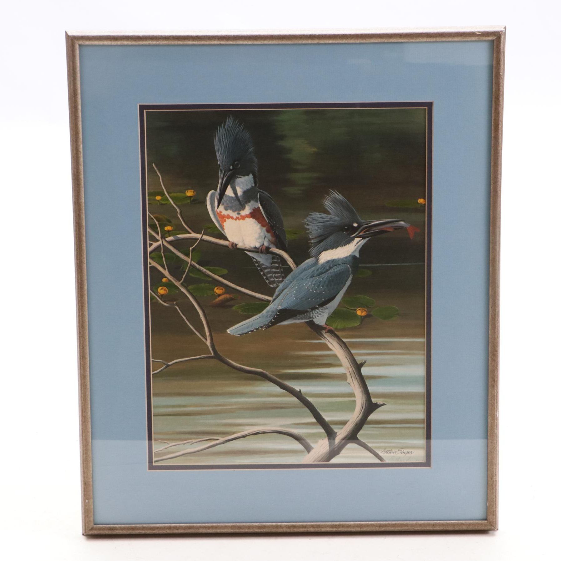 Arthur Singer Offset Lithograph of Kingfisher Birds | EBTH