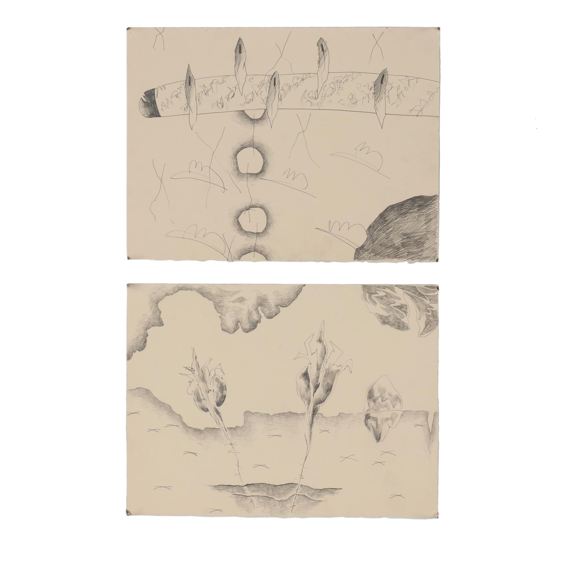 Merle Rosen Abstract Graphite Drawings | EBTH