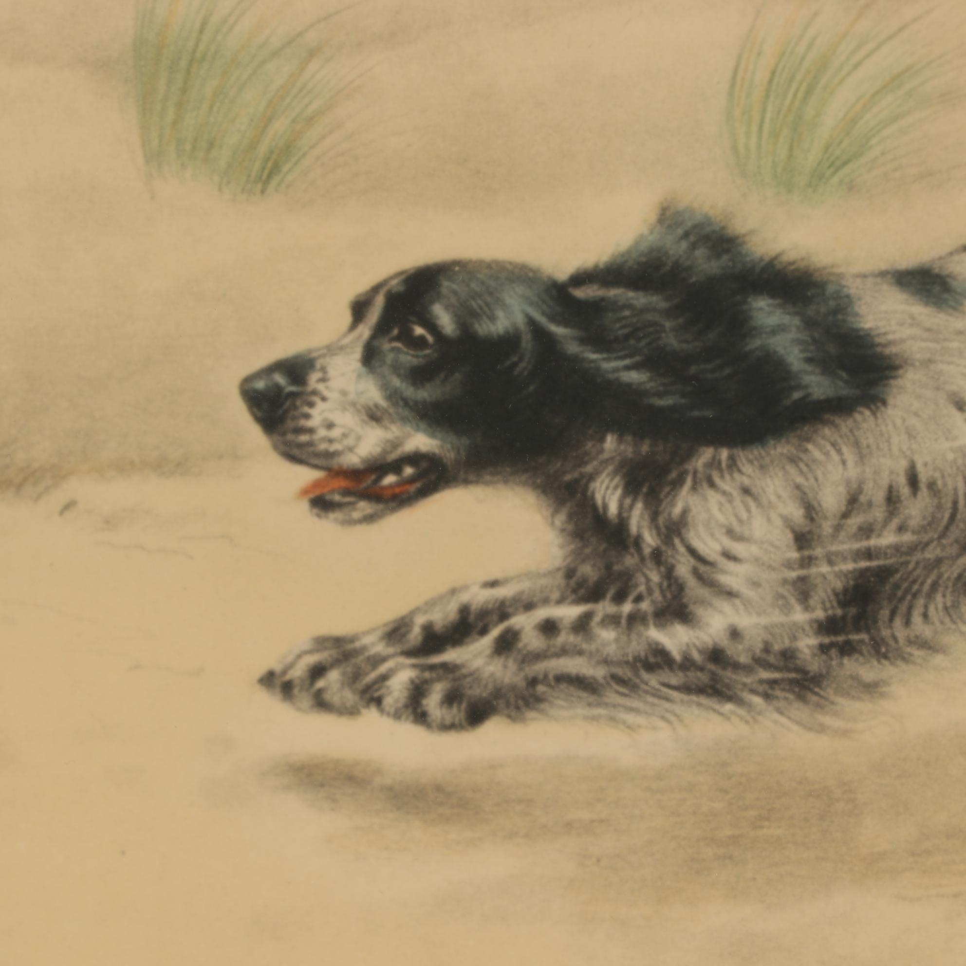 Leon Danchin Colored Etching of Spaniel Chasing Rabbit | EBTH