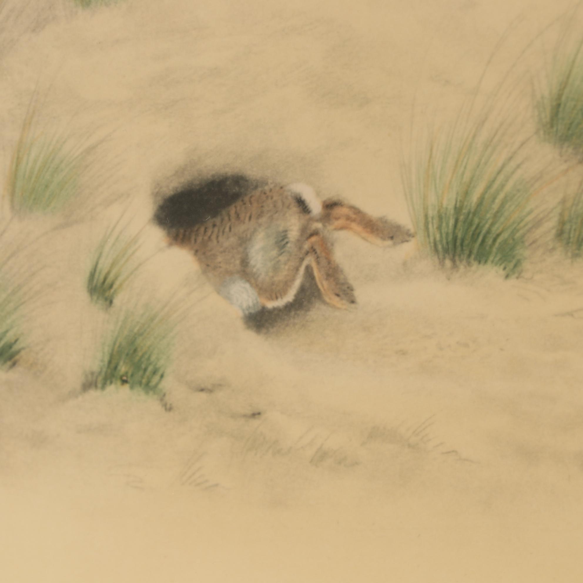 Leon Danchin Colored Etching of Spaniel Chasing Rabbit | EBTH