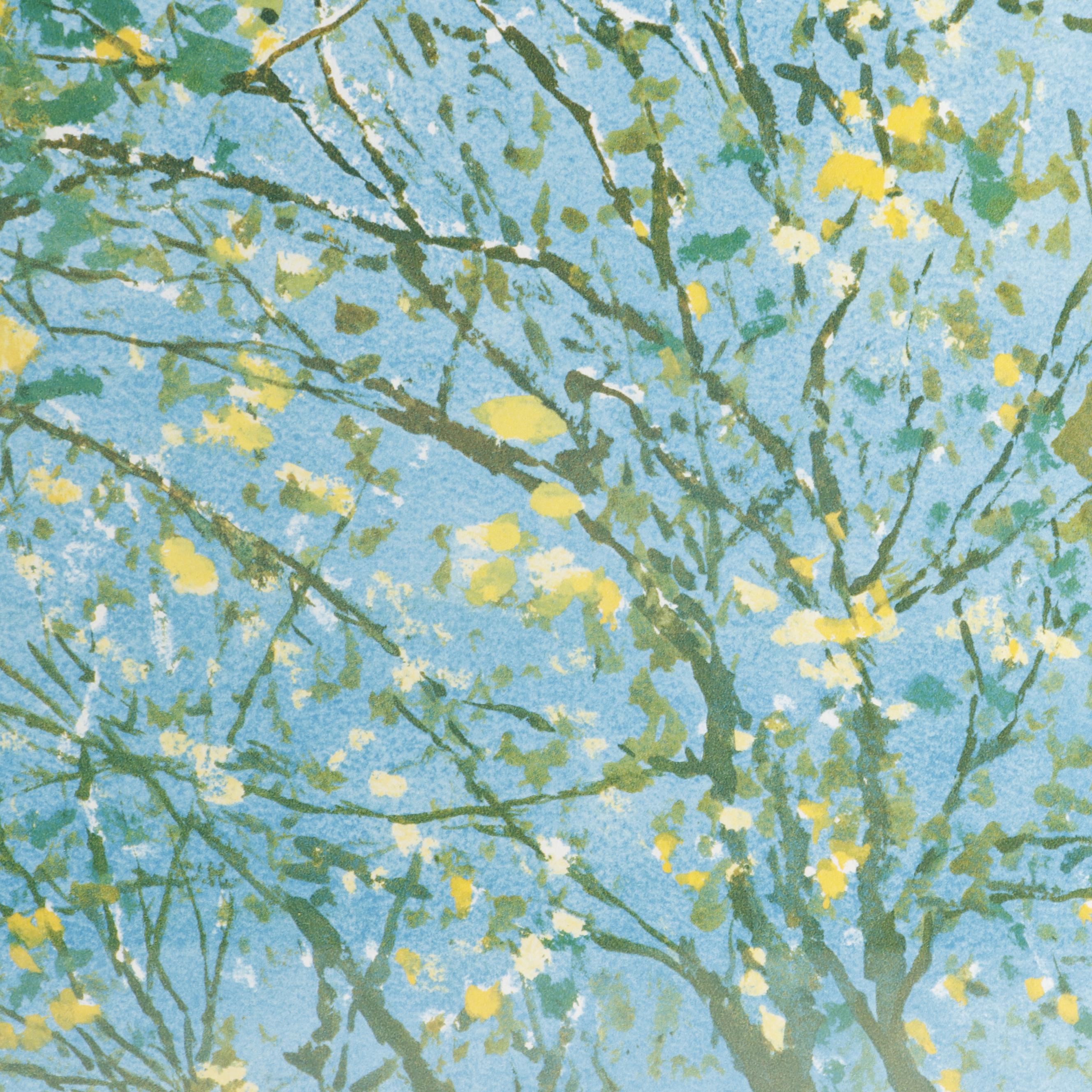 Photomechanical Print after Arthur Cady | EBTH