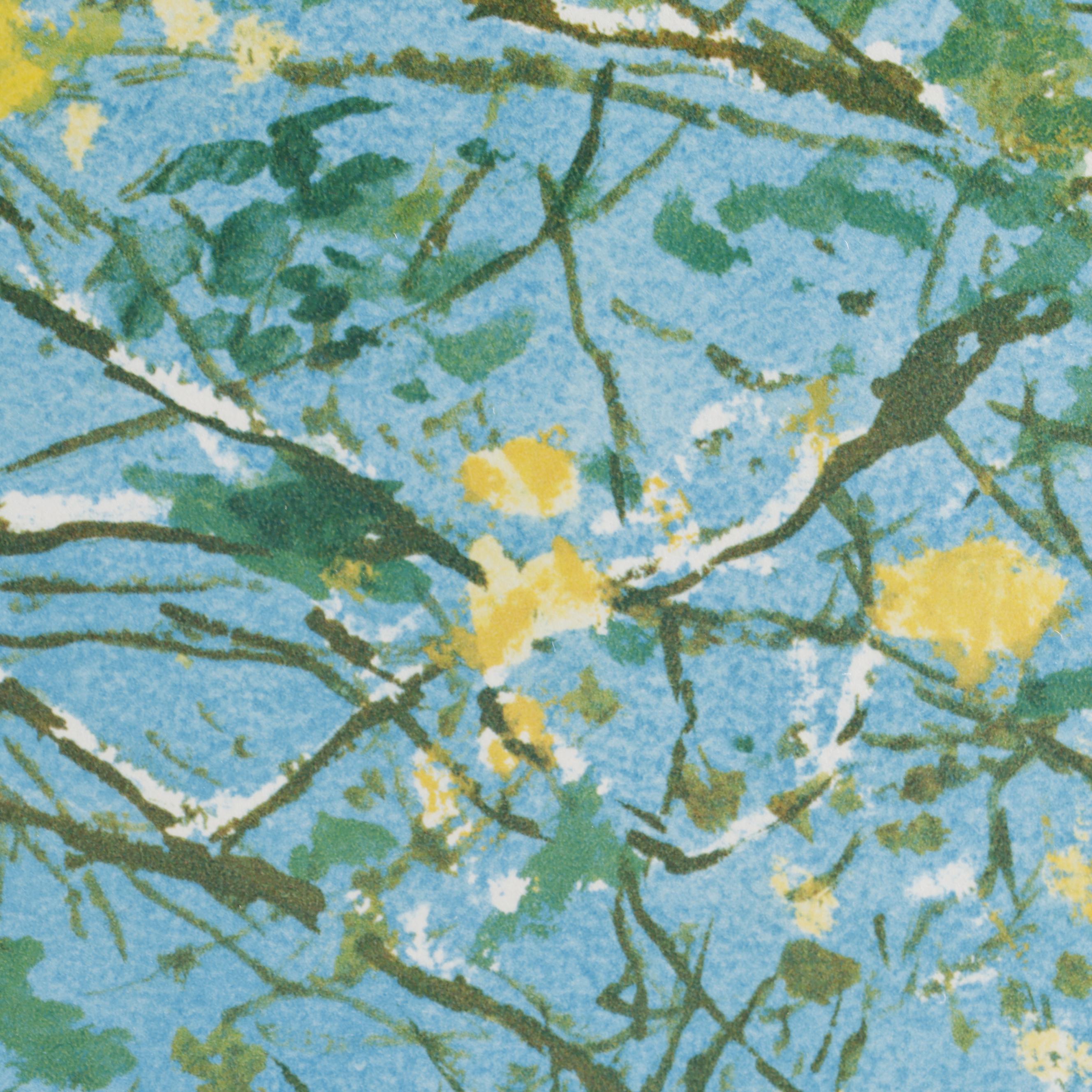 Photomechanical Print after Arthur Cady | EBTH