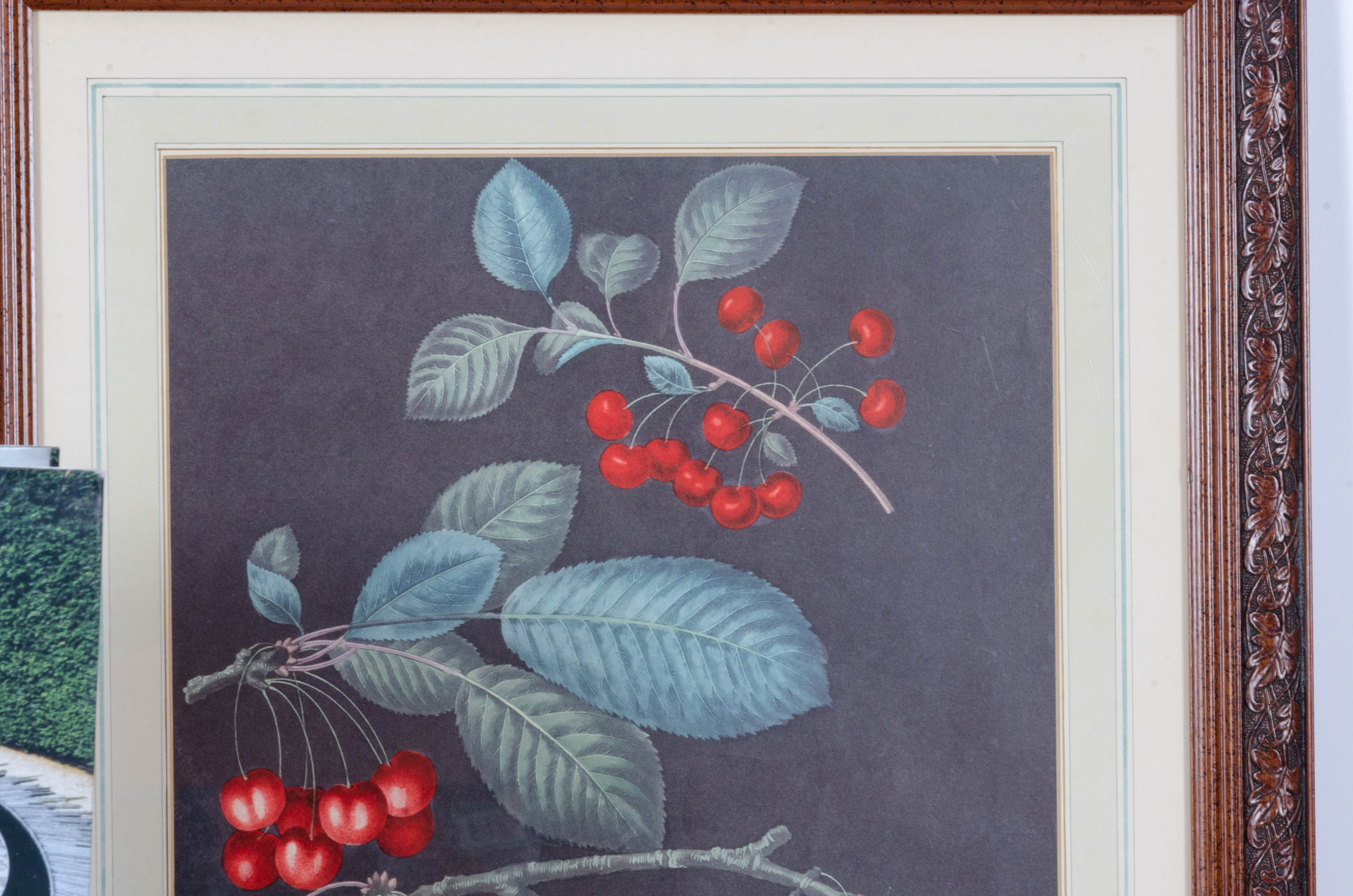 Gladstone & Elwyn-Jones Reproduction Serigraph and Garden Coffee Table ...