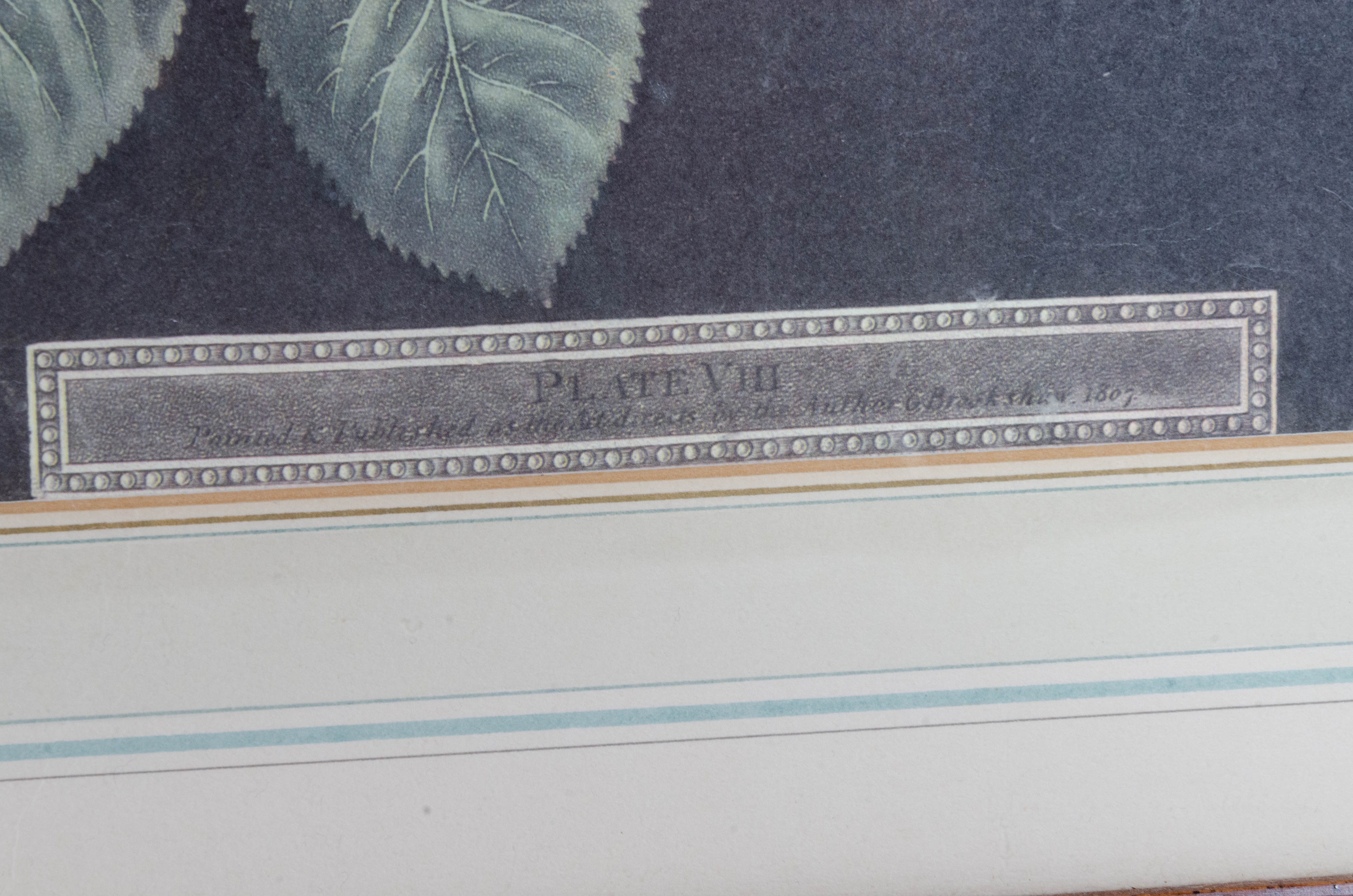 Gladstone & Elwyn-Jones Reproduction Serigraph and Garden Coffee Table ...