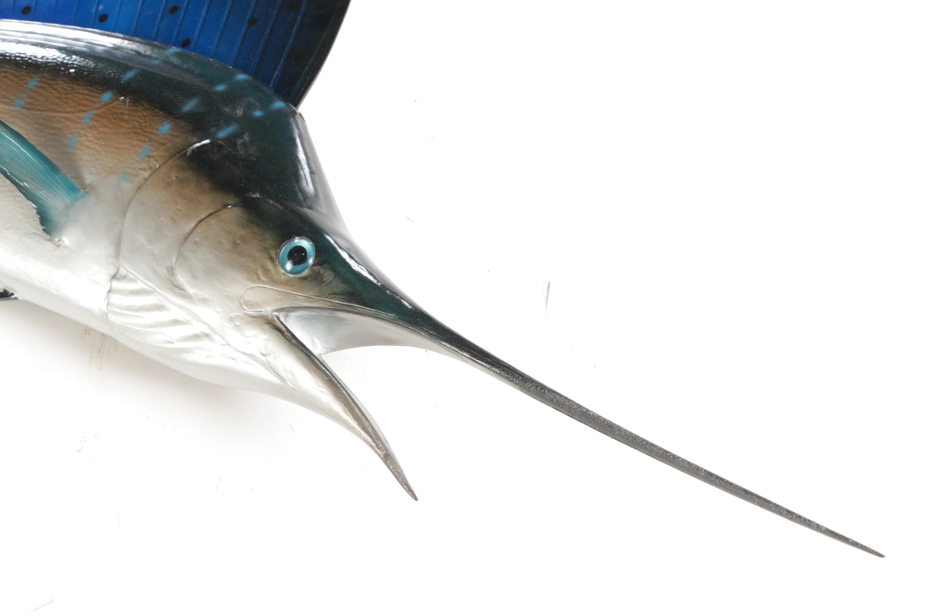 Sailfish Full Body Taxidermy Mount | EBTH