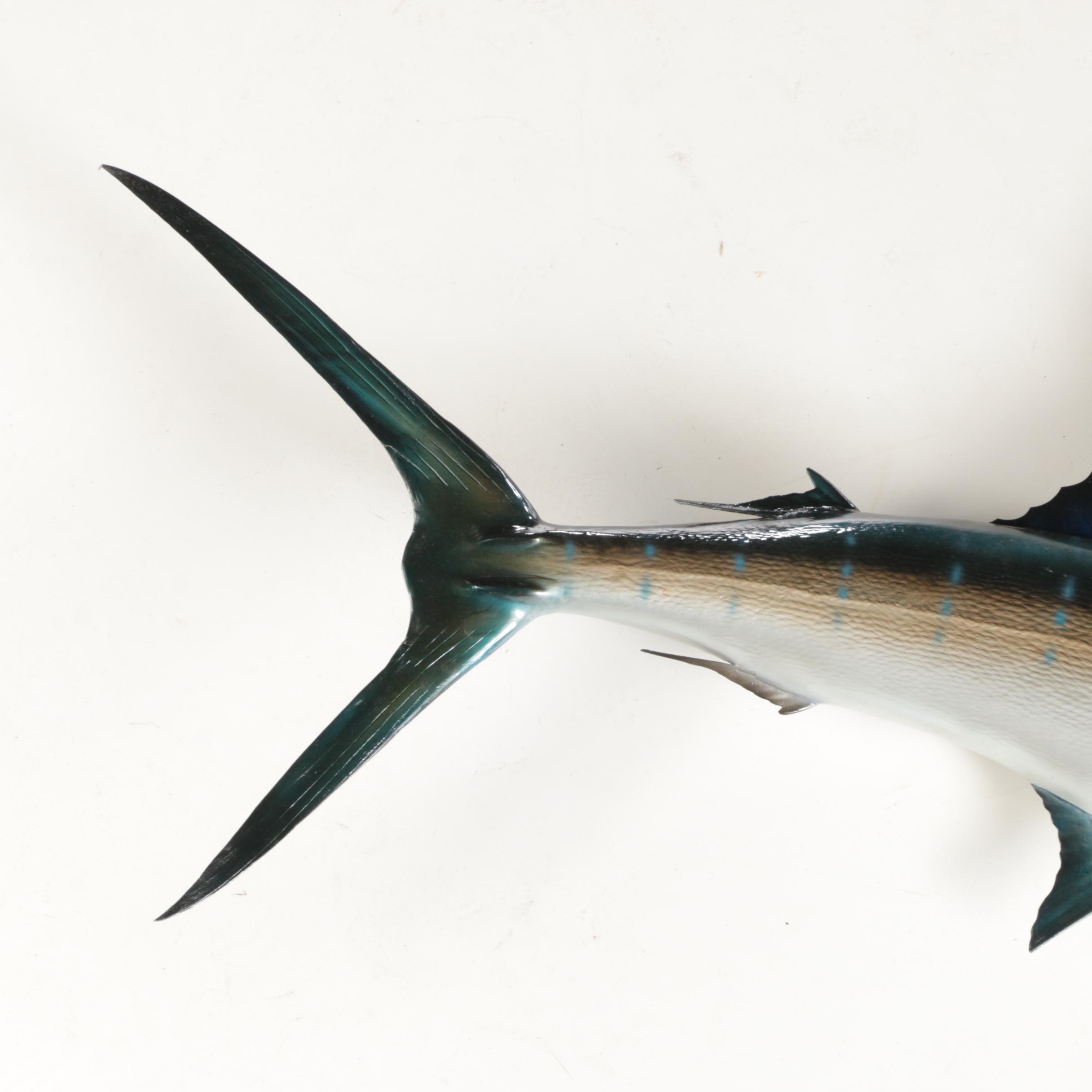 Sailfish Full Body Taxidermy Mount | EBTH