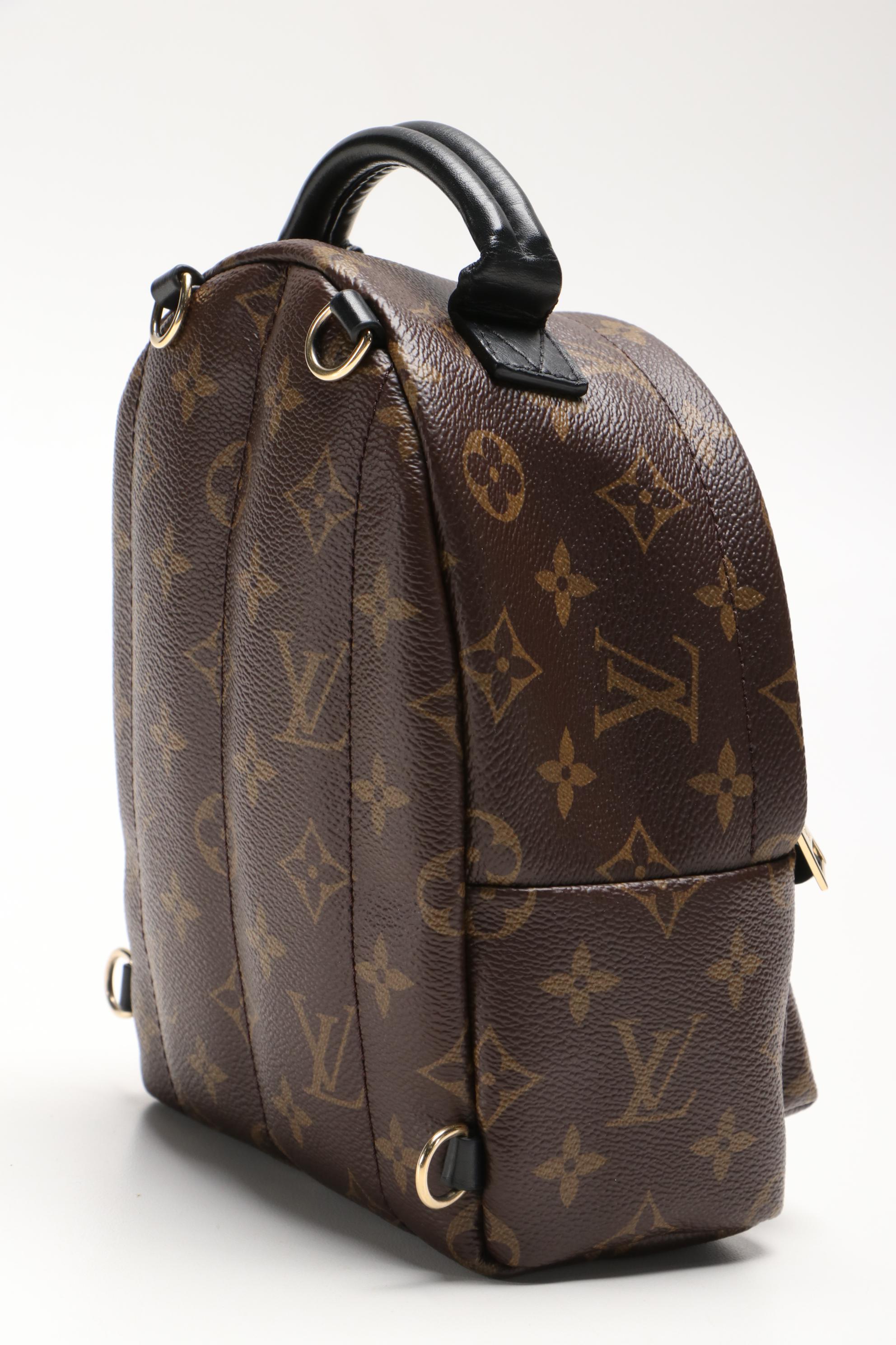Louis Vuitton Palm Spring PM Backpack in Monogram Canvas and Black ...
