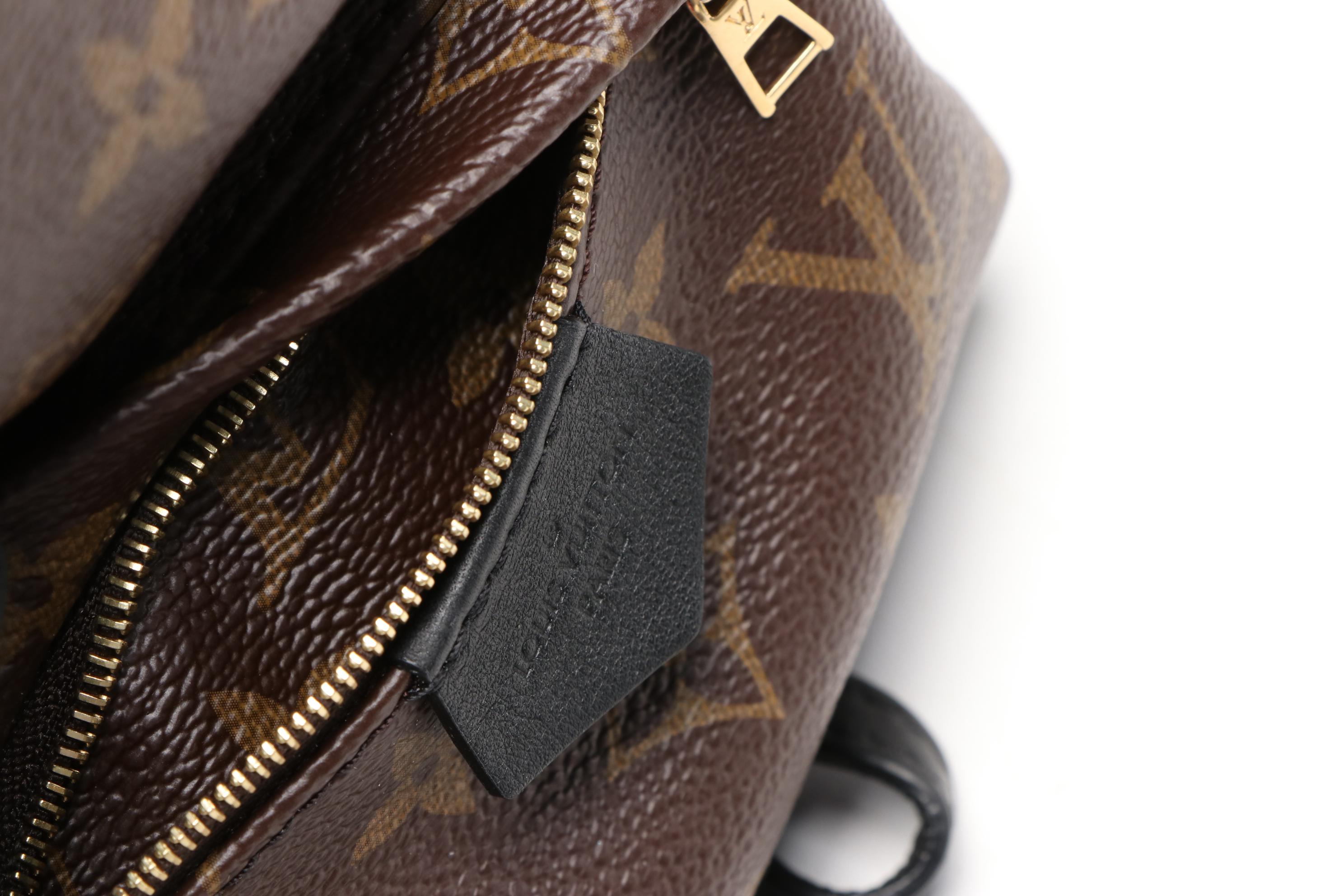 Louis Vuitton Palm Spring PM Backpack in Monogram Canvas and Black ...