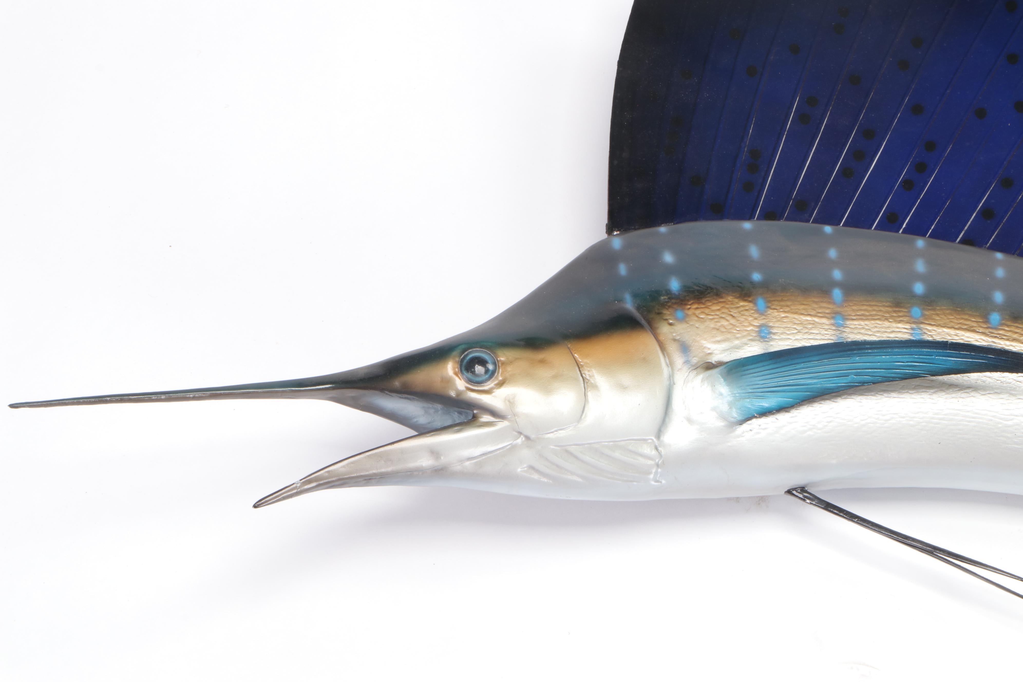 Sailfish Full Body Taxidermy Mount | EBTH