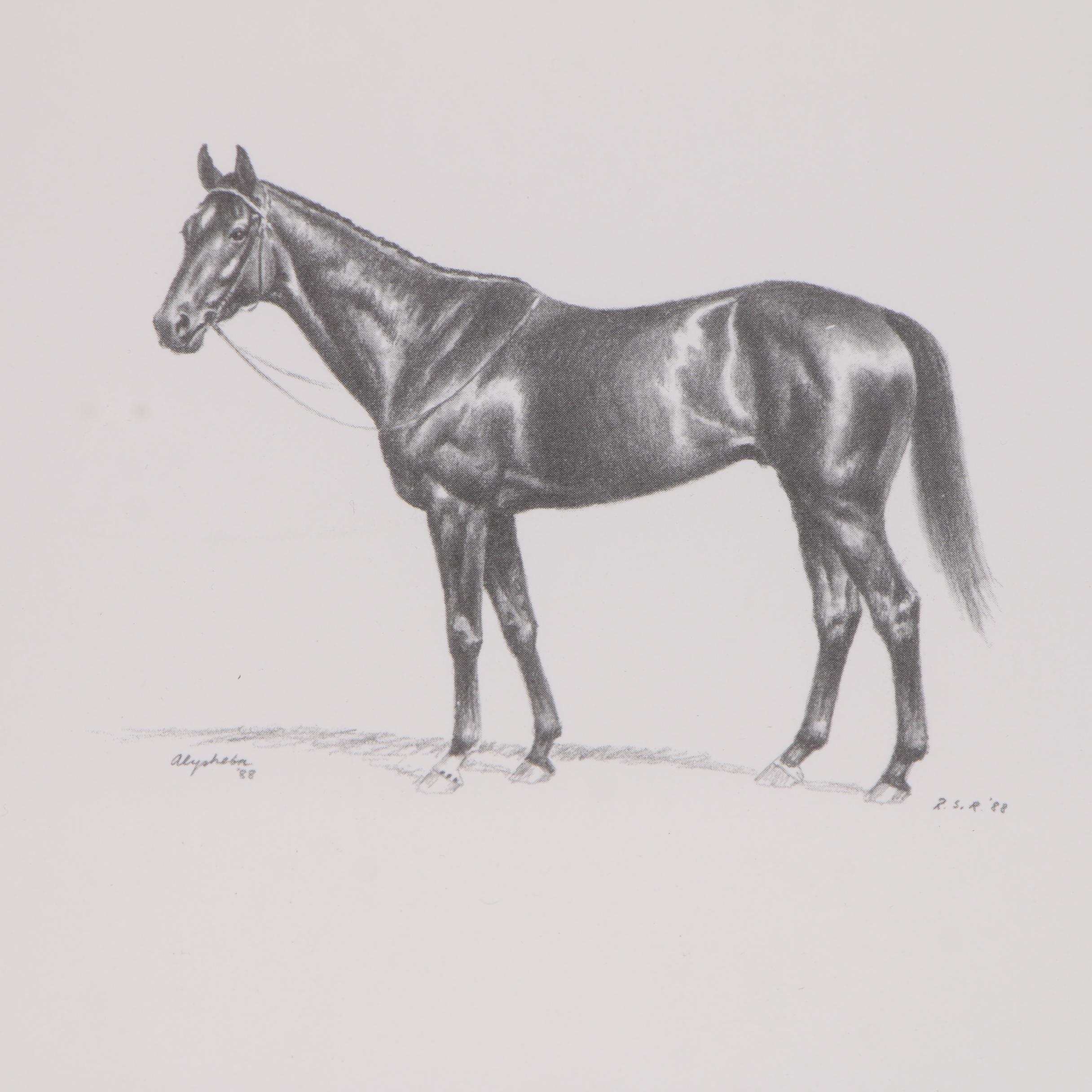 Richard Stone Reeves Equine Offset Lithograph "Alydar" | EBTH
