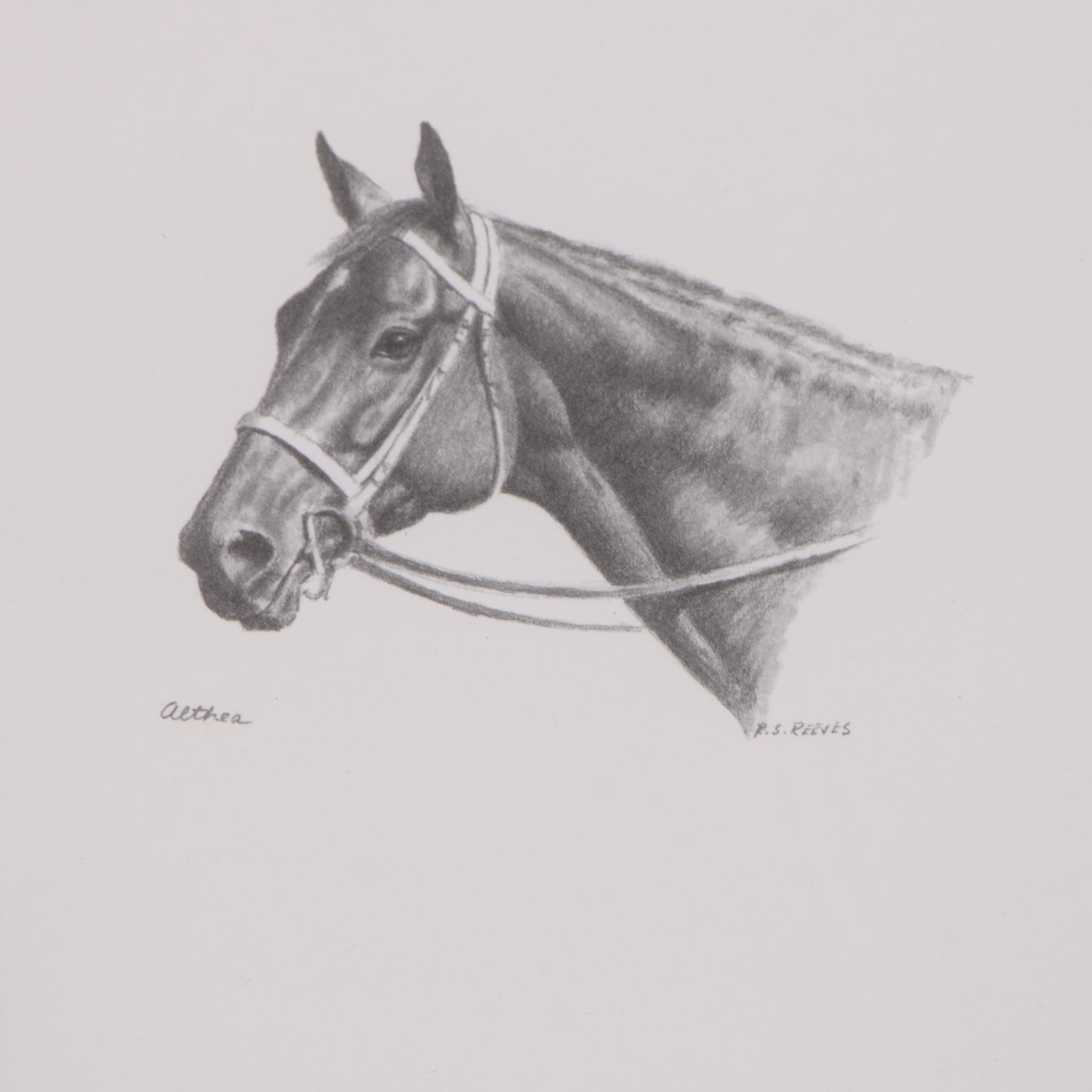 Richard Stone Reeves Equine Offset Lithograph "Alydar" | EBTH