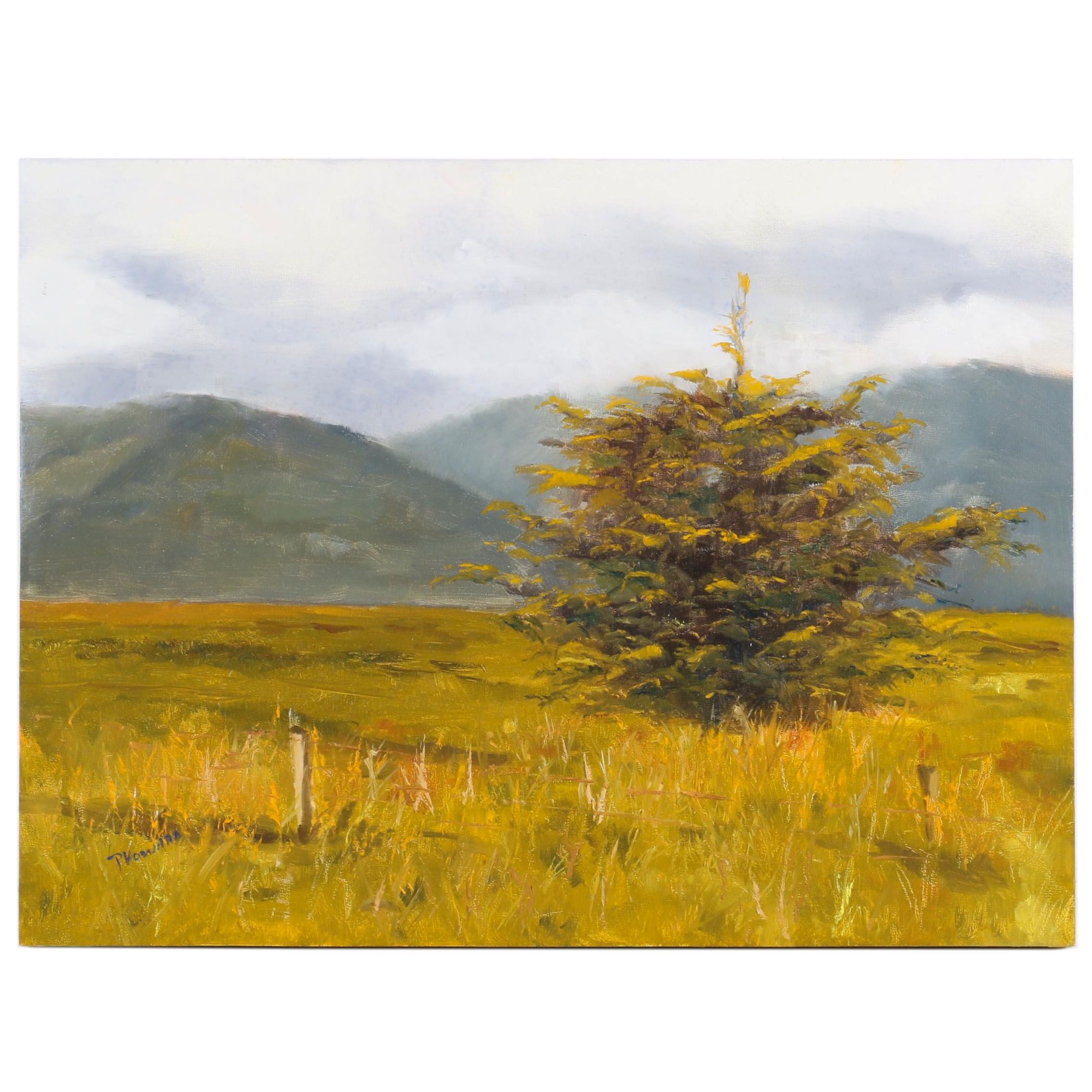 Pat Howard Oil Painting "Highland Pine", 2019 | EBTH