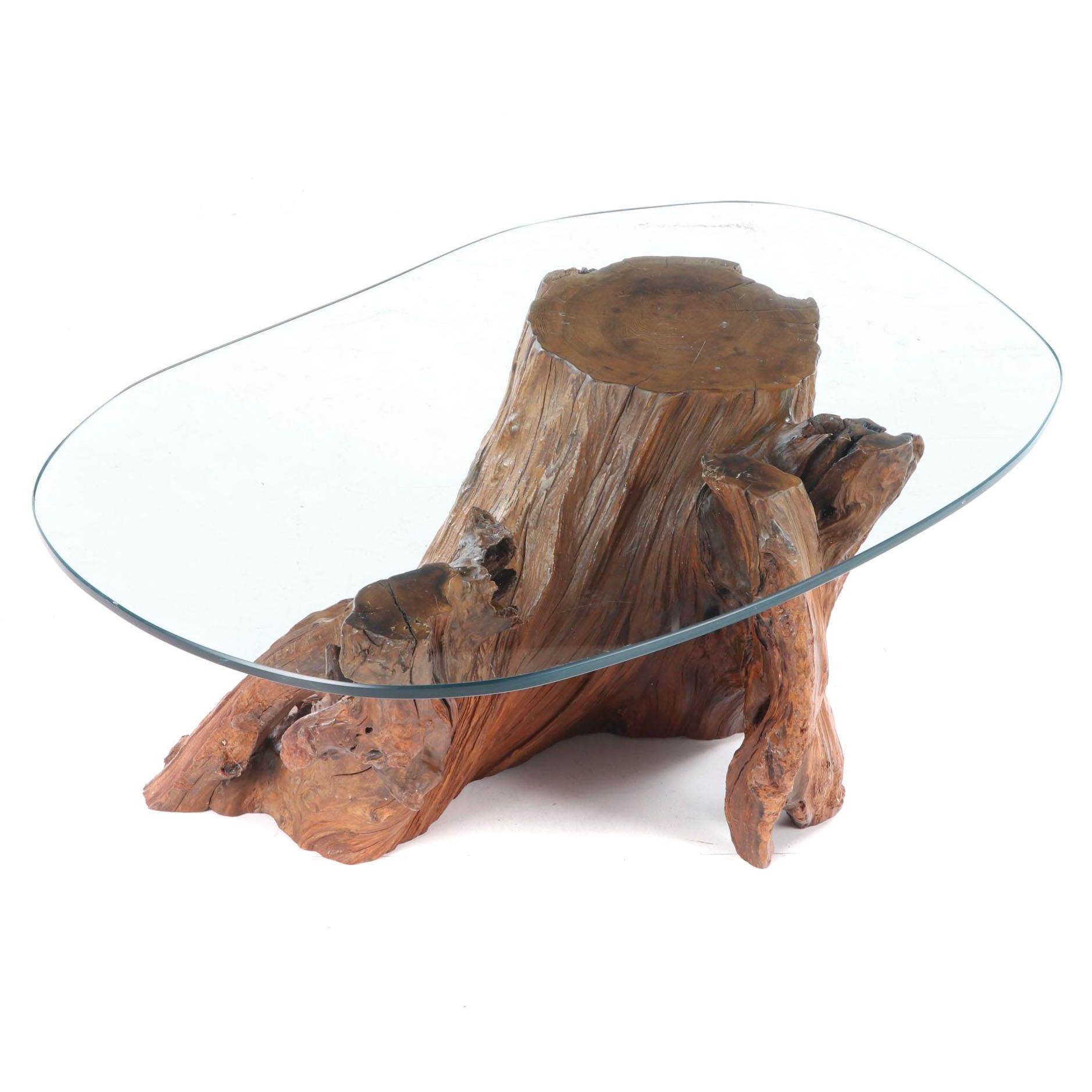 Bald Cypress Stump with Knees and Custom Shaped Glass Top Coffee Table ...