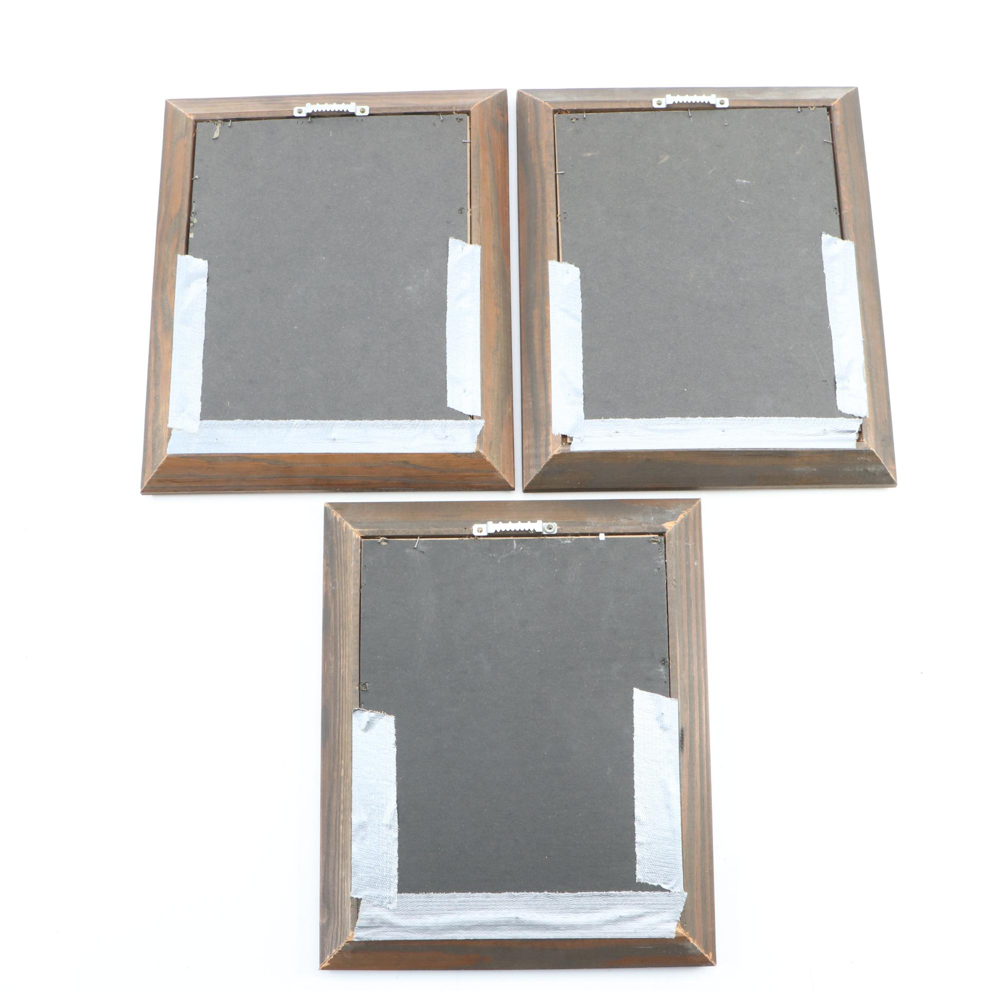 Commemorative Western Themed Framed American Coinage | EBTH