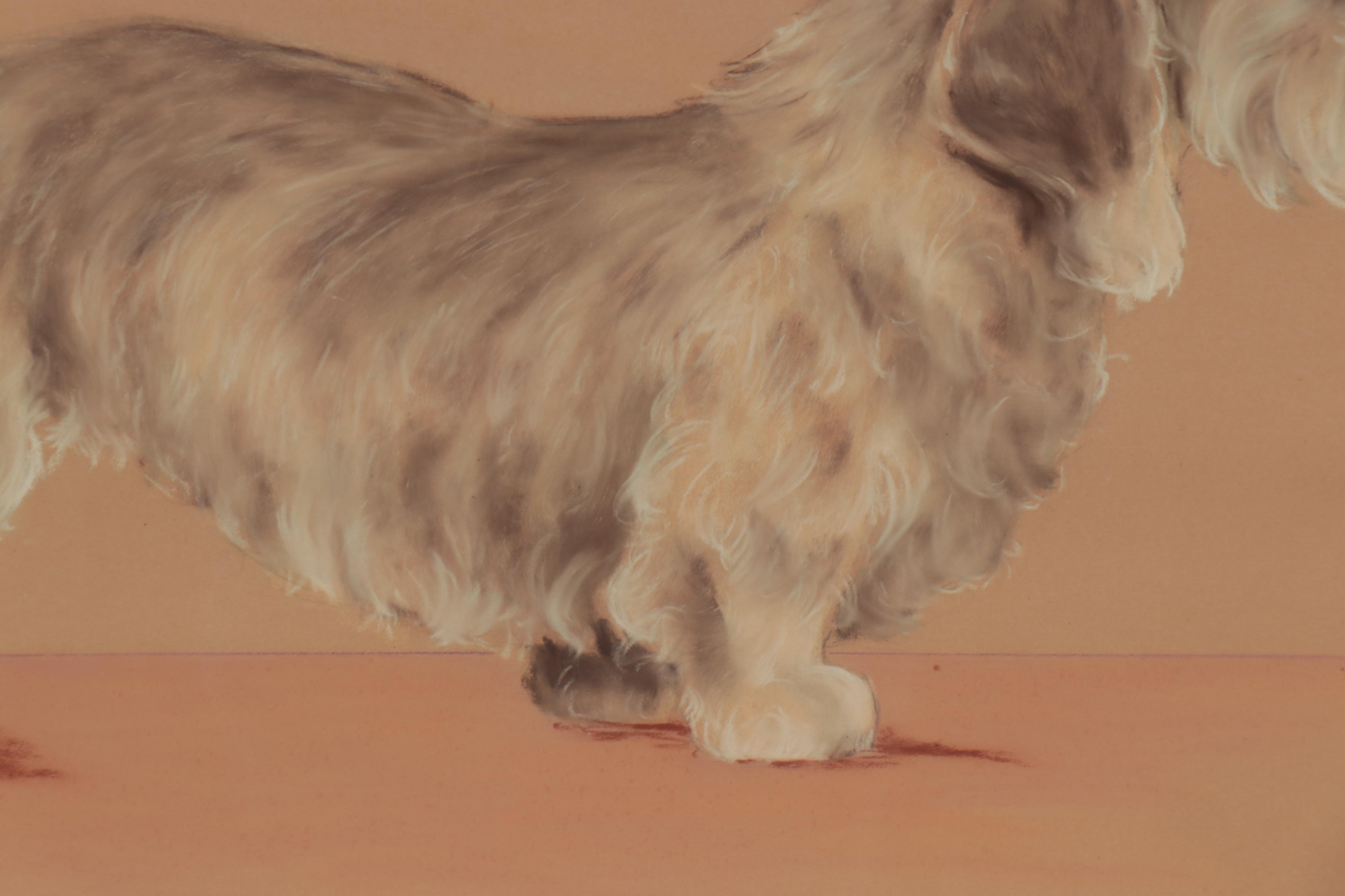 Marjorie Walker Pastel Drawing of Dandie Dinmont Terrier, 1935 | EBTH