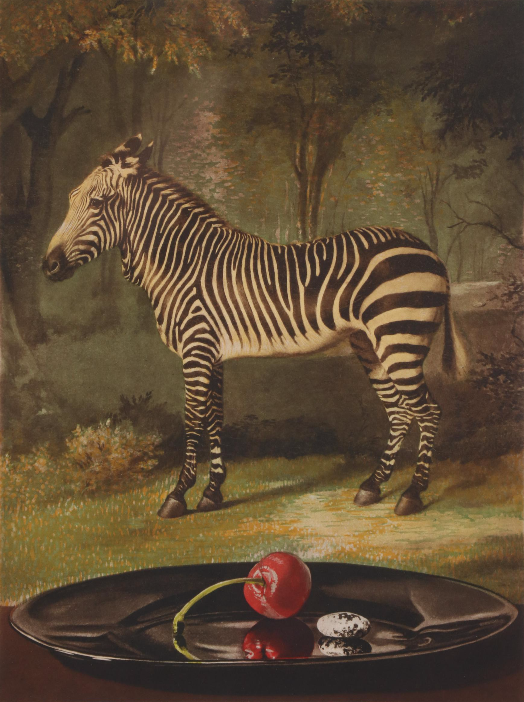 Sherrie Wolf Hand-Colored Photogravure "Zebra with Cherry and Fava Bean ...