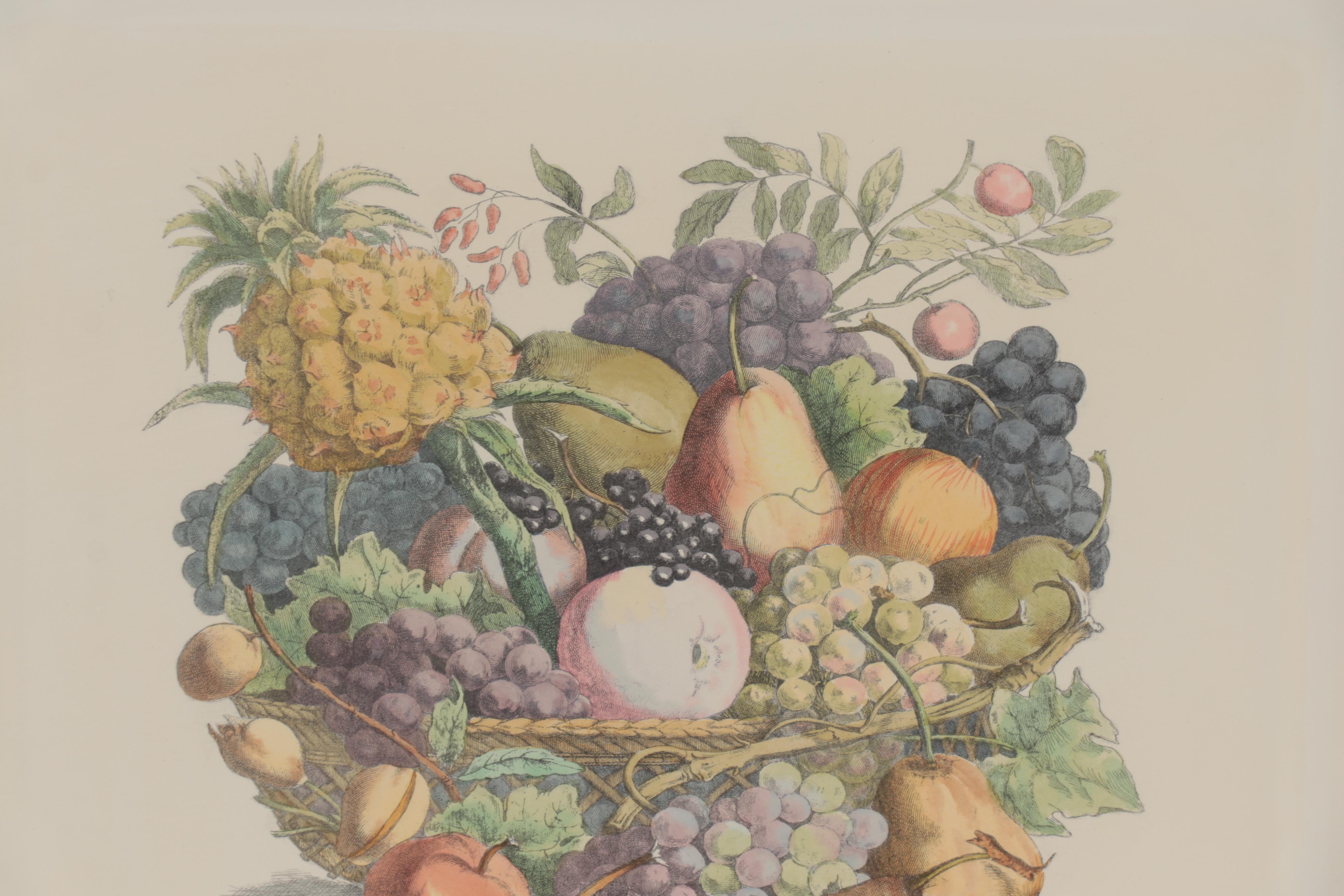 Botanical Lithograph Illustrations of Fruit, 21st Century | EBTH