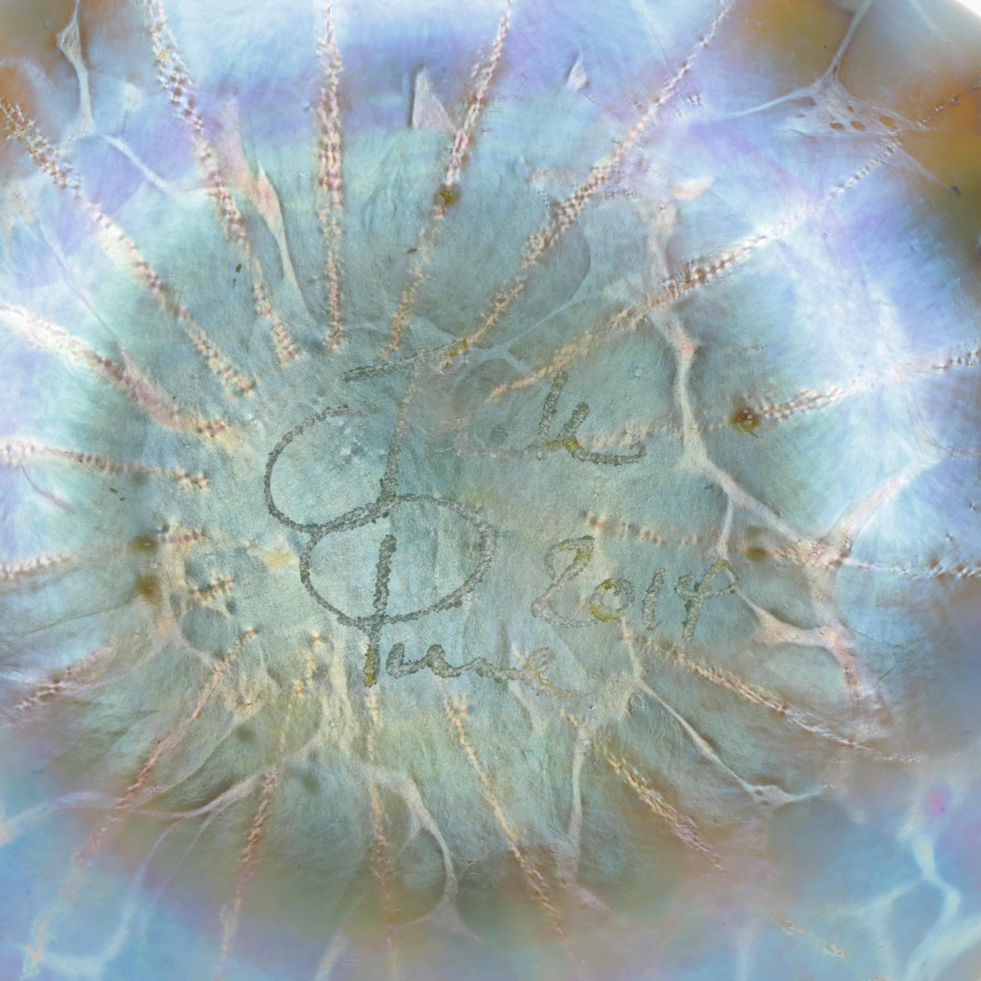 Jack Pine Handblown Iridescent Art Glass Pumpkins | Everything But The ...